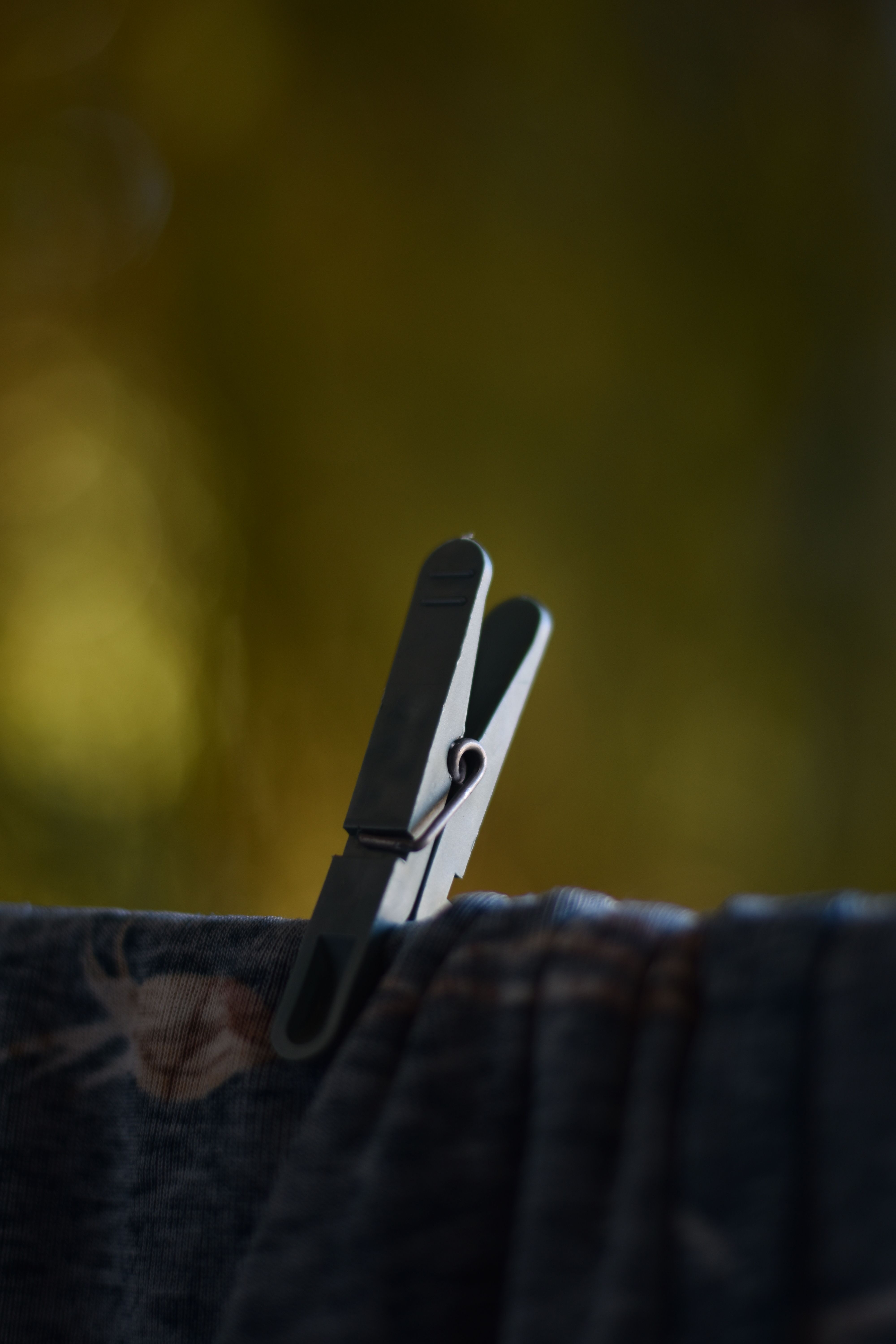Close up of a Clothespin · Free Stock Photo