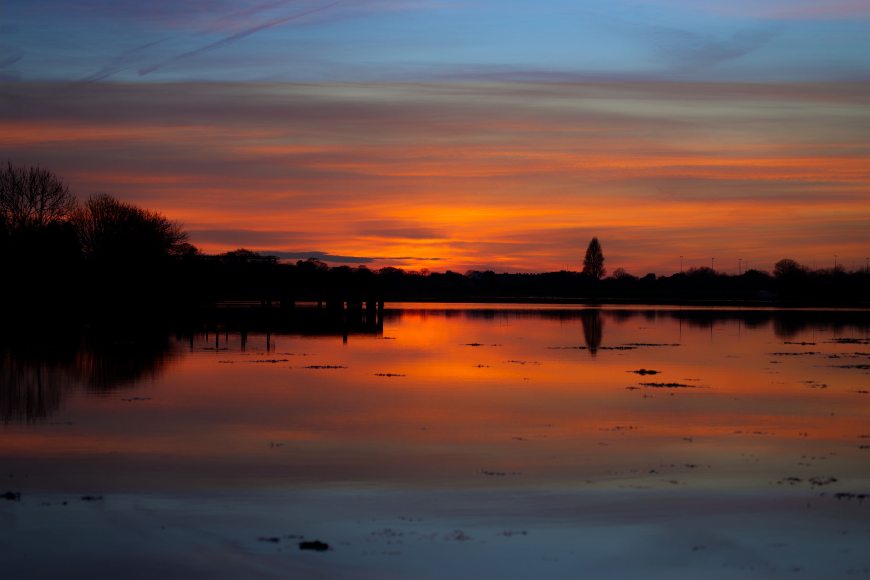 David Bell - Photography