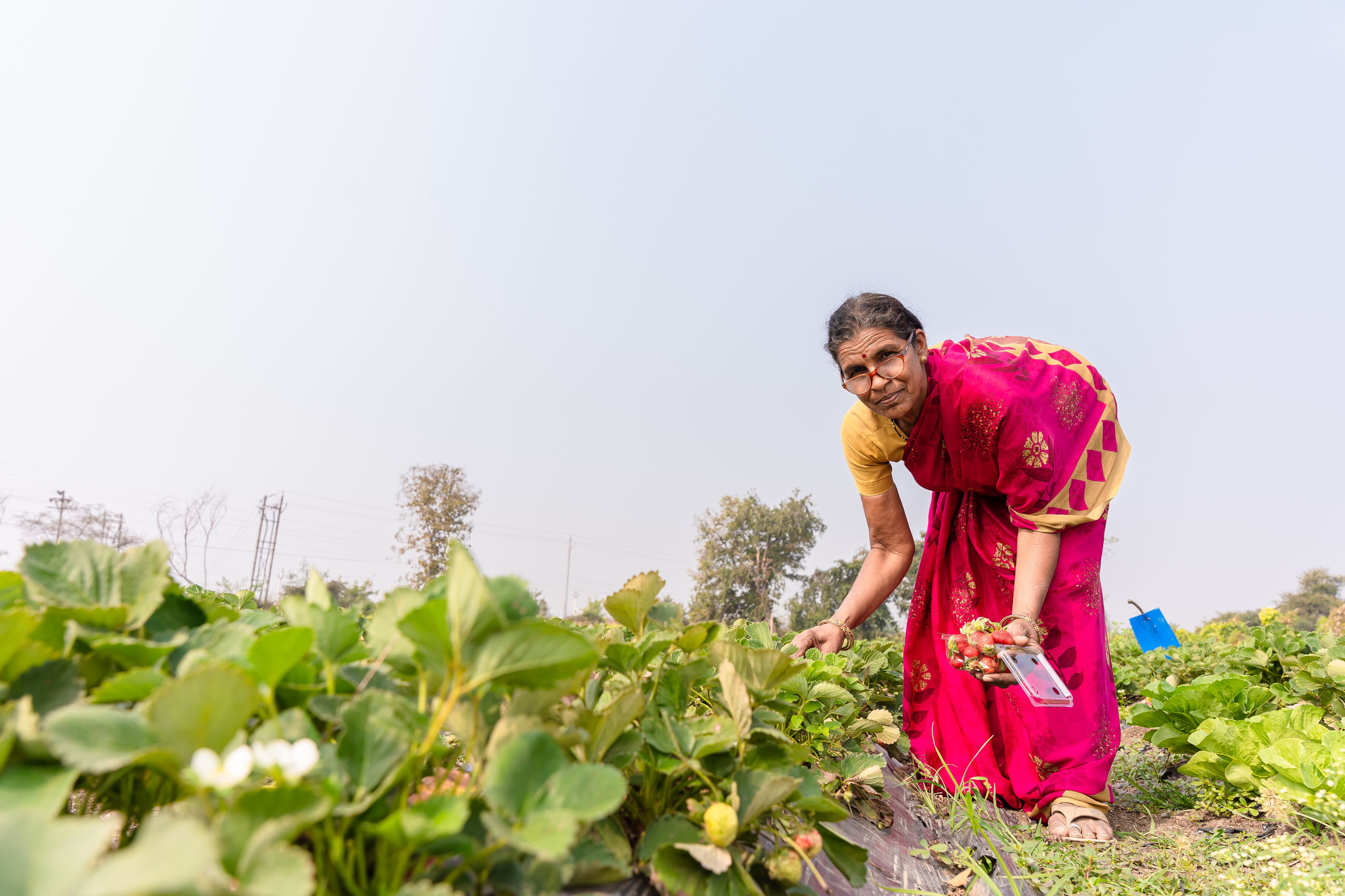 Health Workers In India Photos, Download The BEST Free Health Workers ...