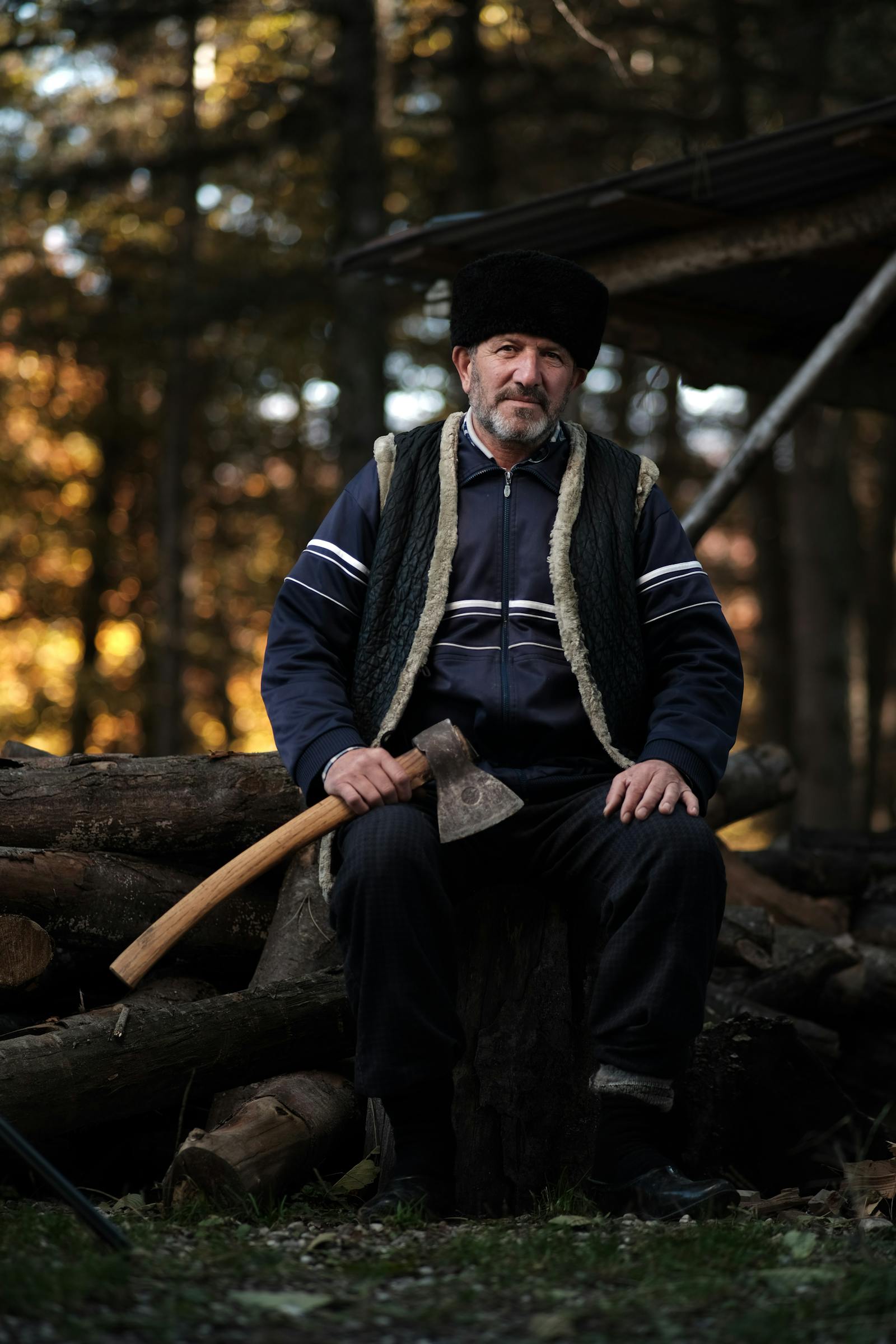 Wood Piles Photos, Download The BEST Free Wood Piles Stock Photos & HD ...