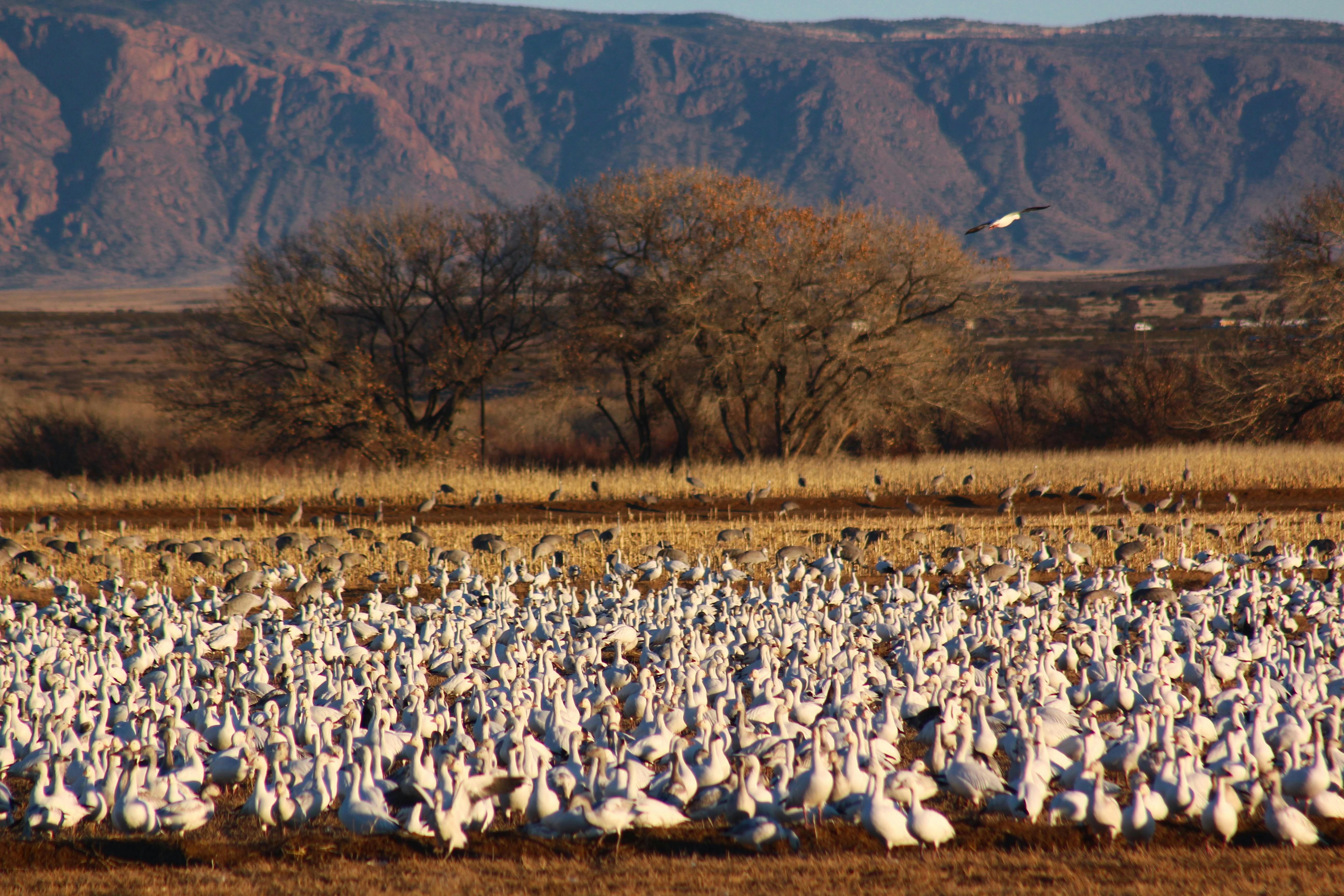 TYPHOON BRO - Photography