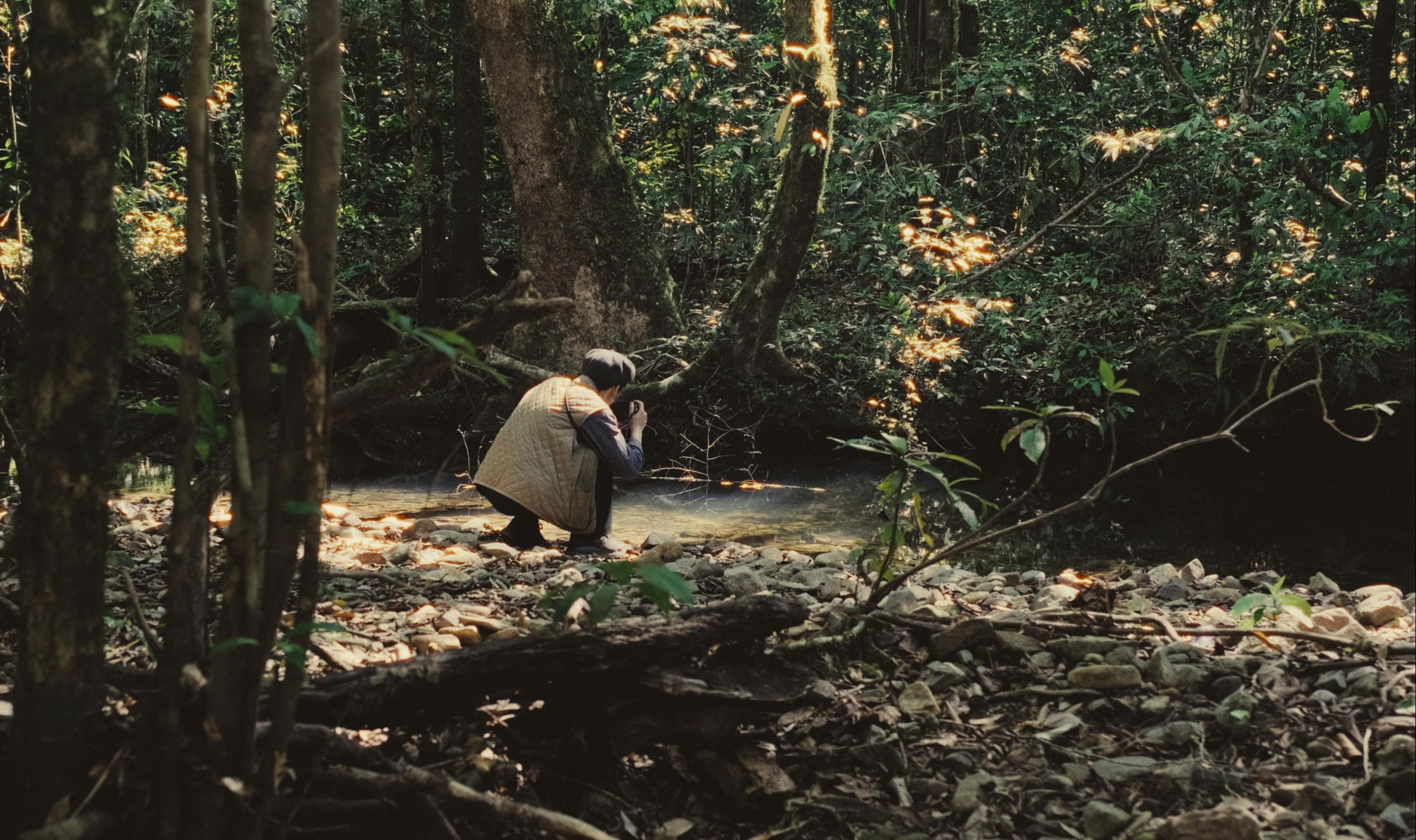 Man Squatting by River in Forest and Taking Pictures · Free Stock Photo