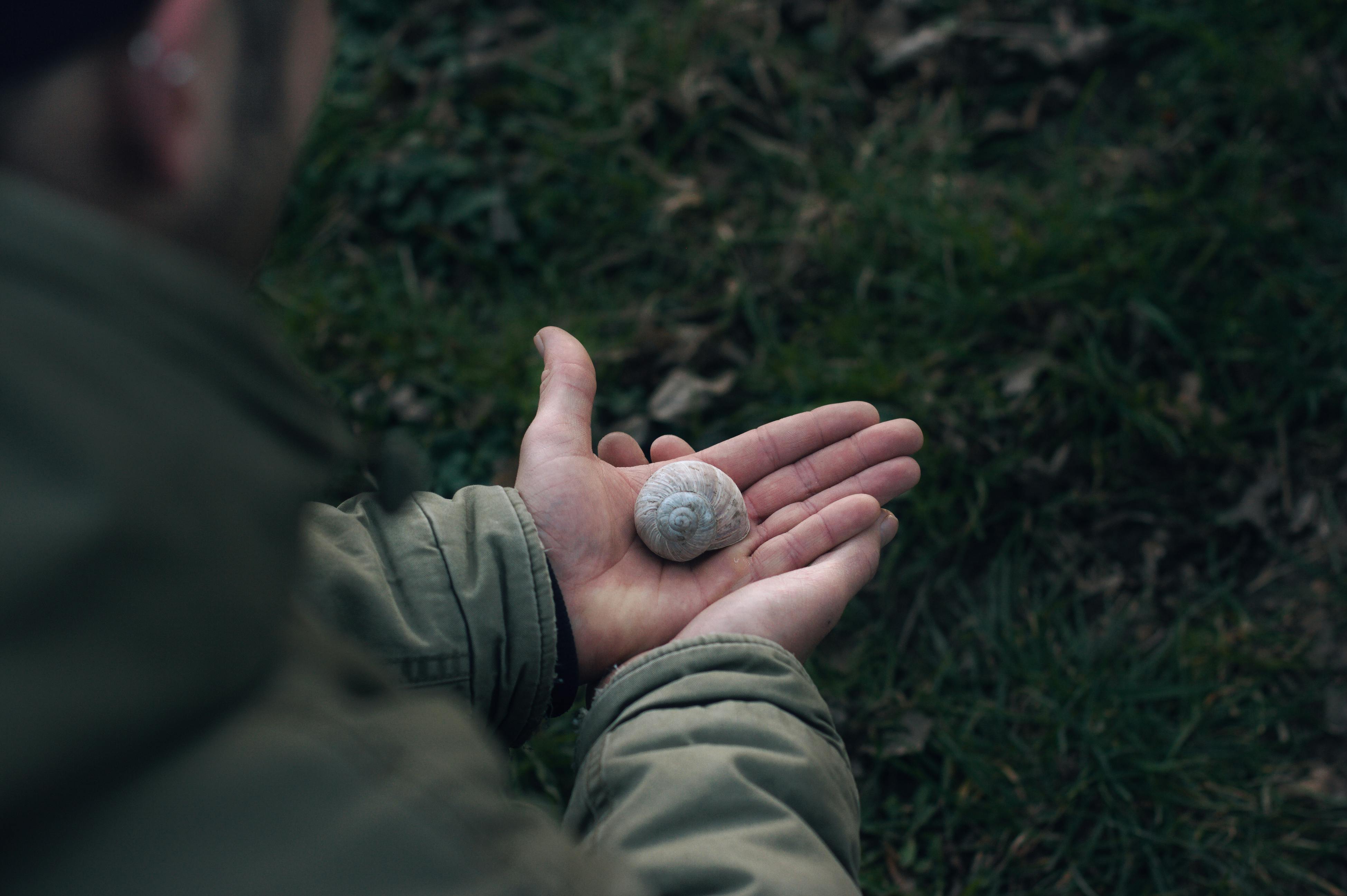 Man Holding Snail Shell · Free Stock Photo