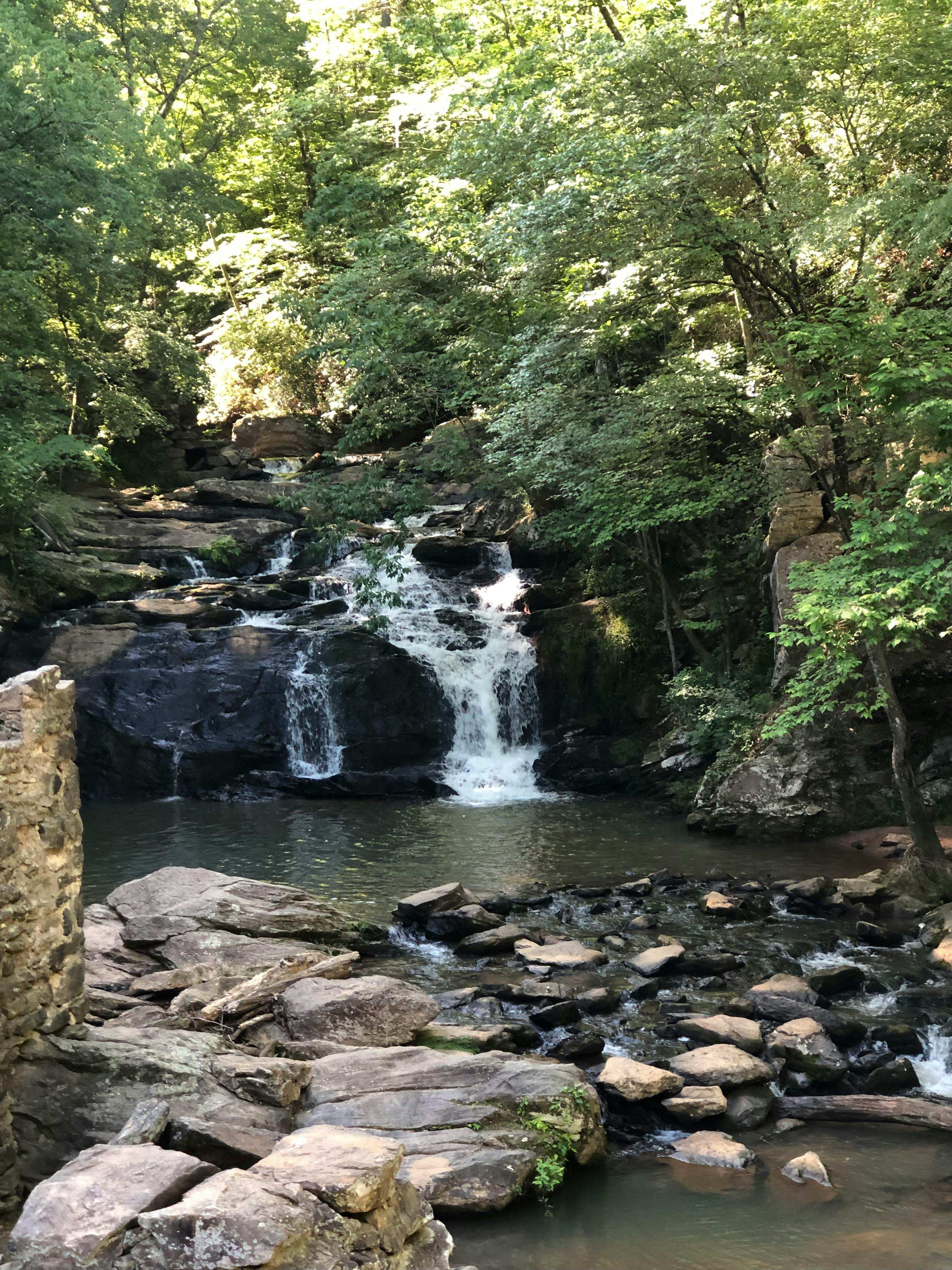 A waterfall in the woods surrounded by rocks · Free Stock Photo