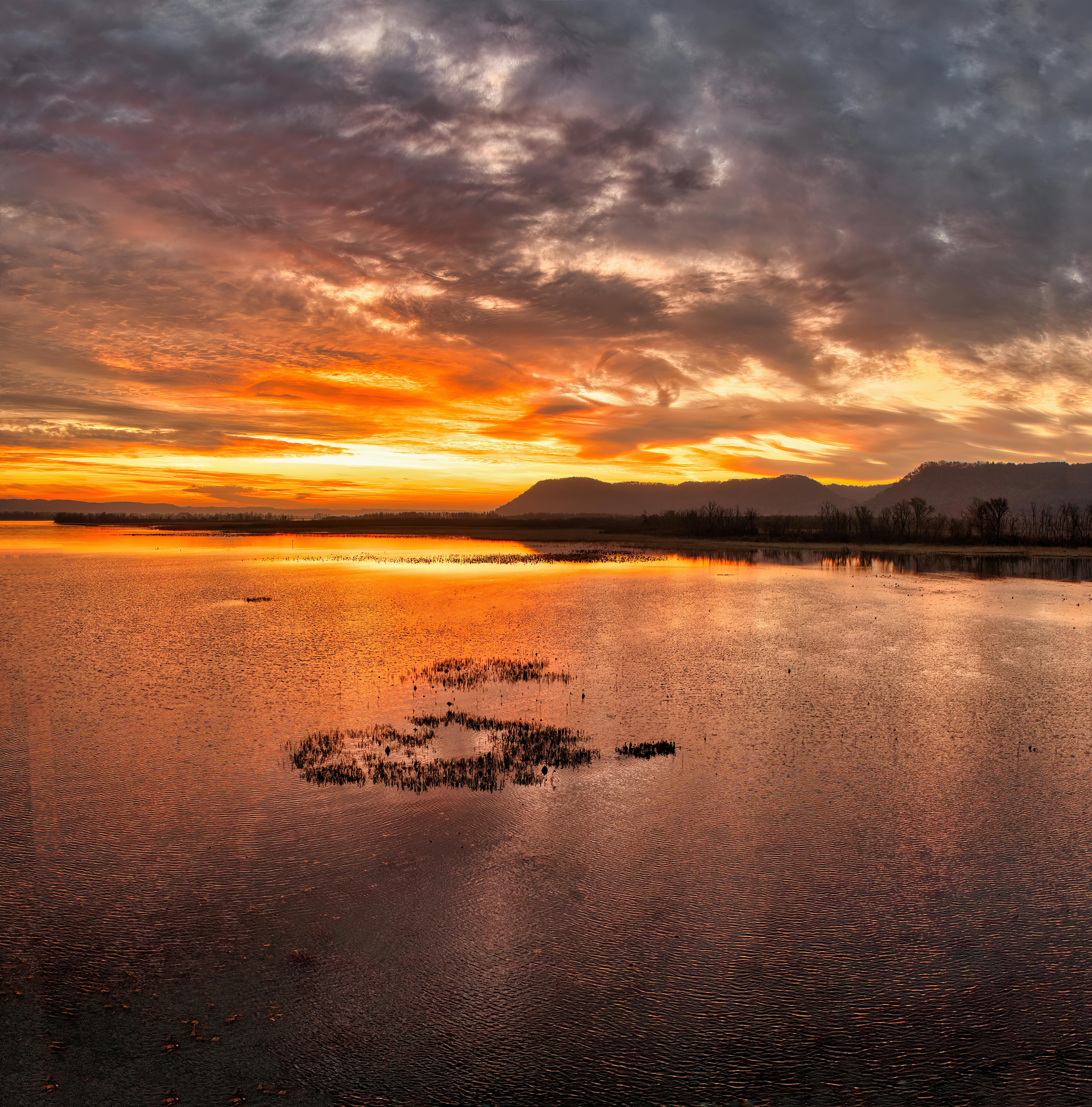 Contest Winning Photos, Download The BEST Free Contest Winning Stock ...