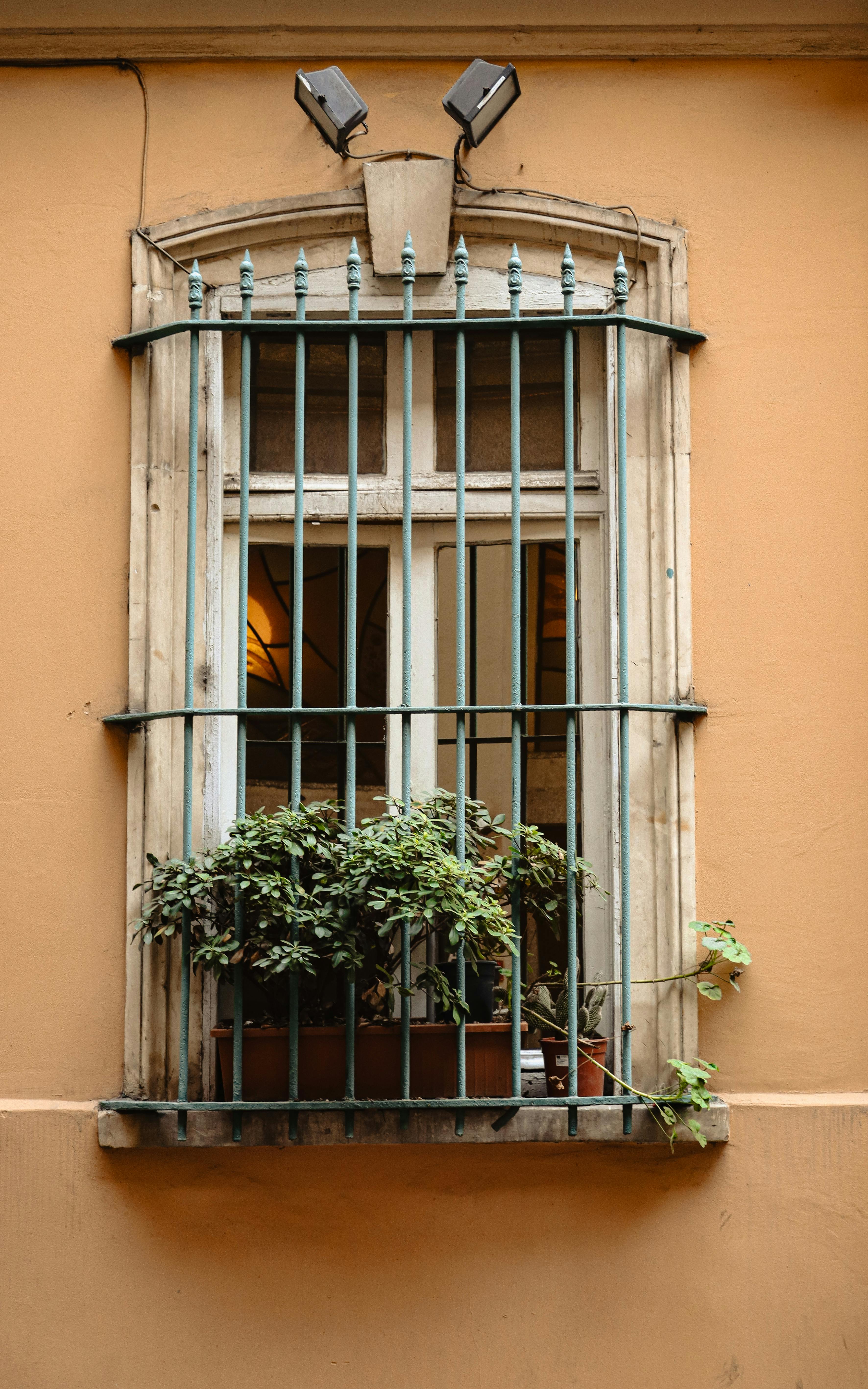 32k Video Photos, Download The BEST Free 32k Video Stock Photos & HD Images