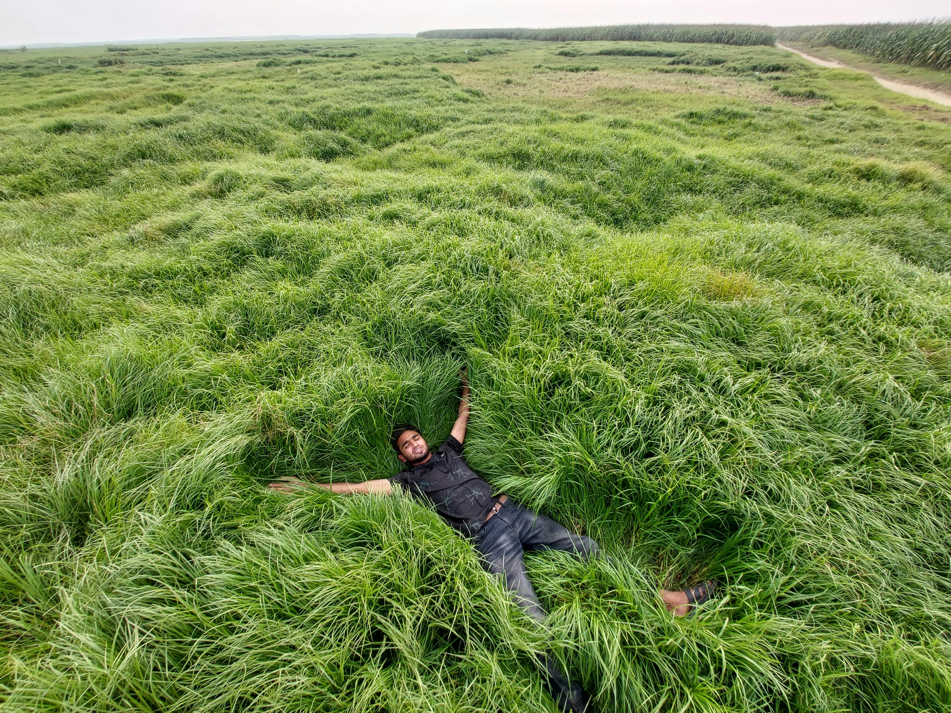 Man Lying Down in Green Grass on Field · Free Stock Photo