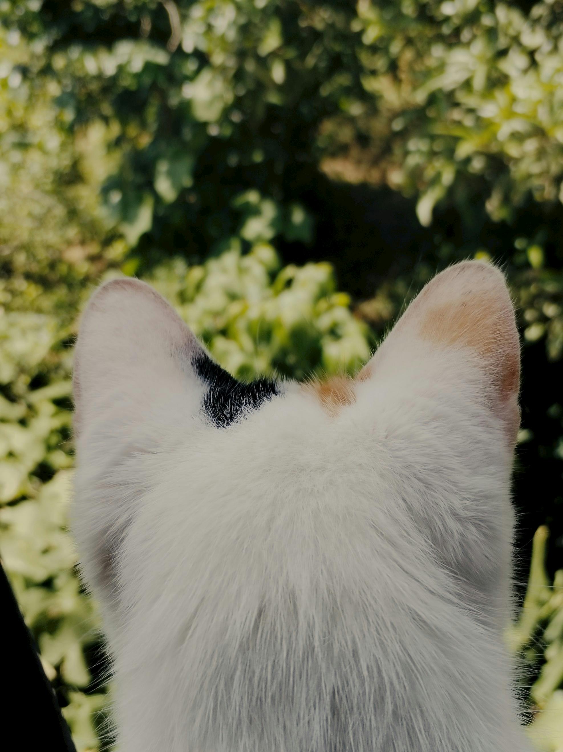 Daniel Bertoli - Fotografía