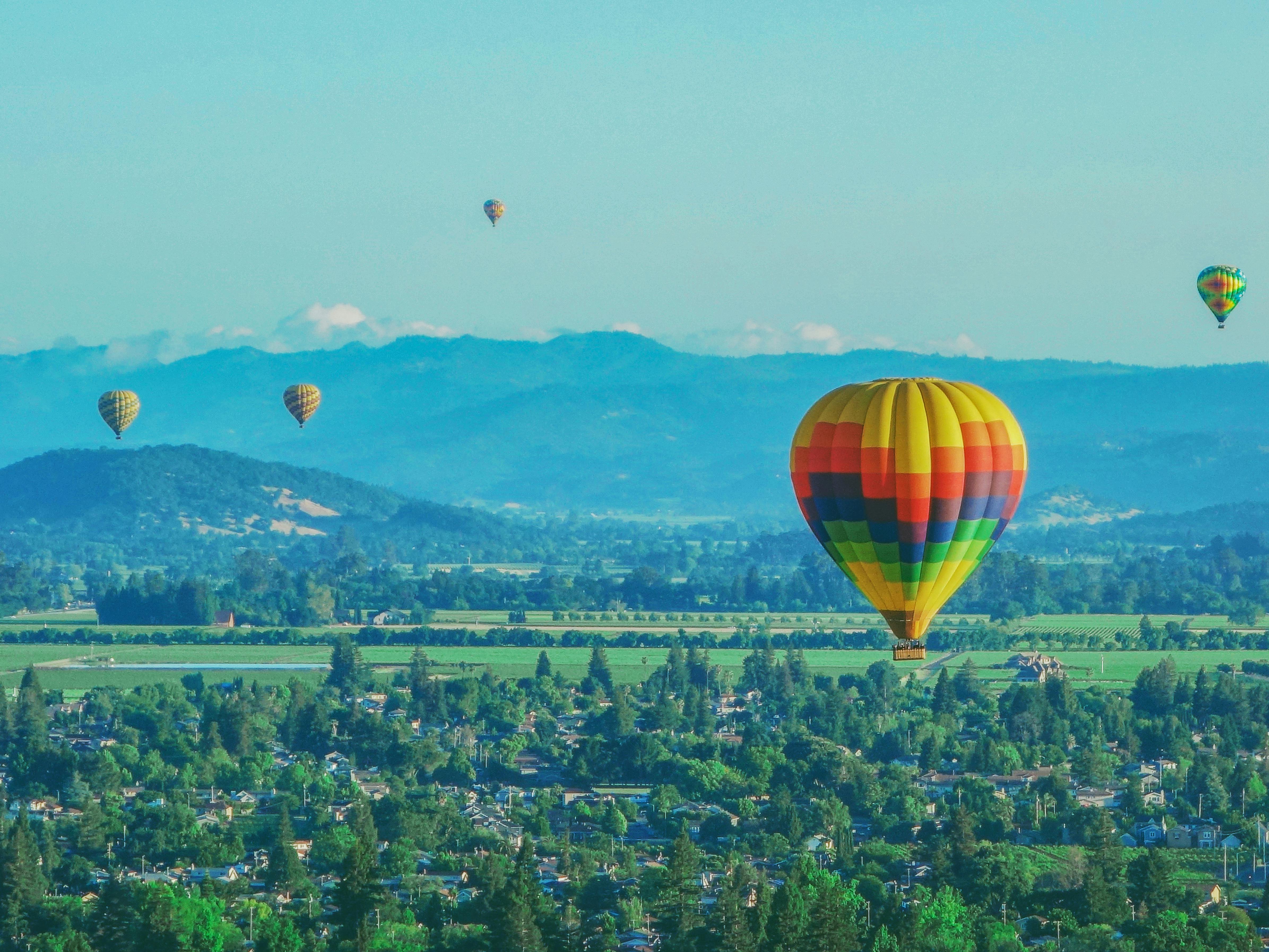 Huihui Zhang - 사진