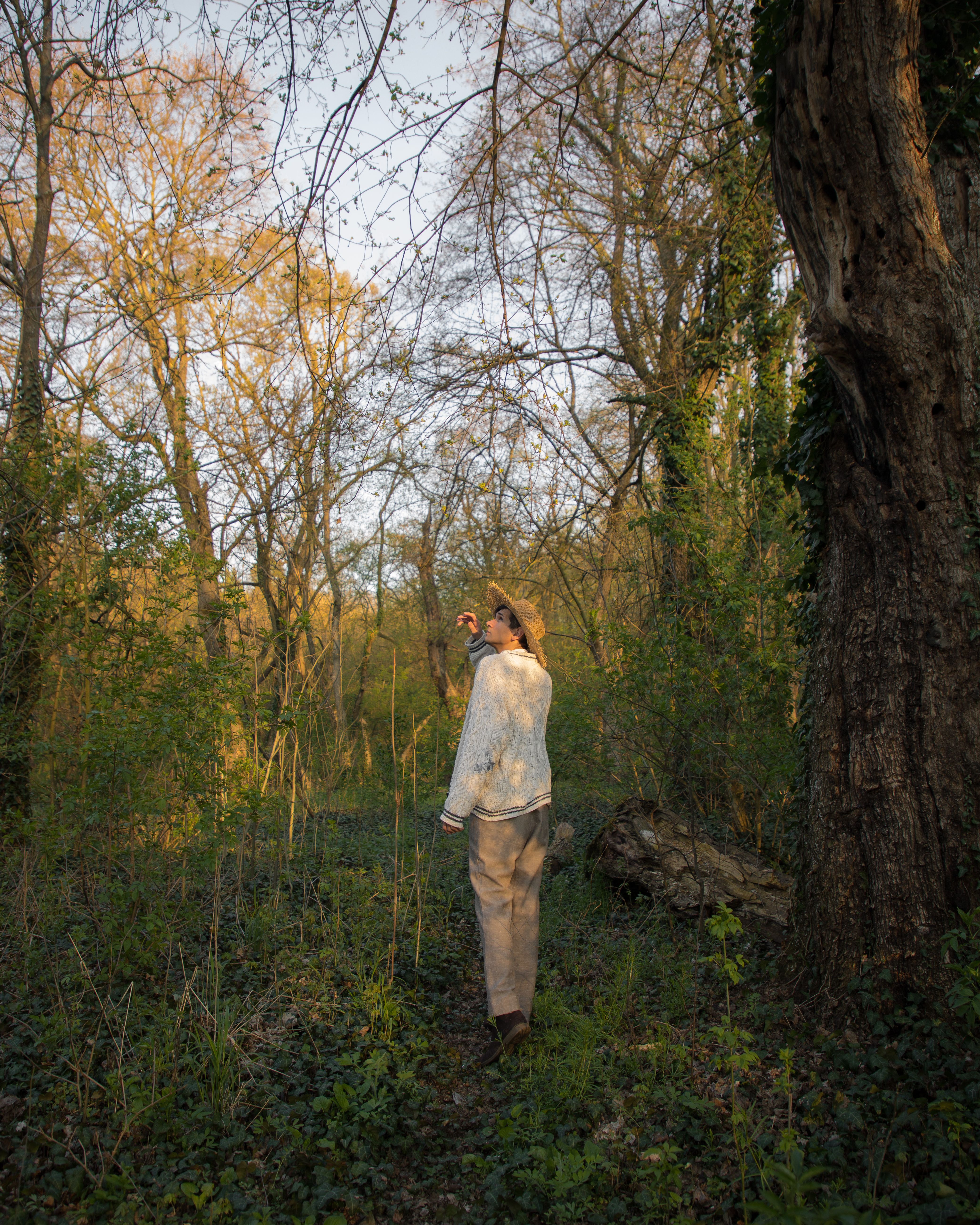 Man Wandering Around the Forest in Vojvodina · Free Stock Photo