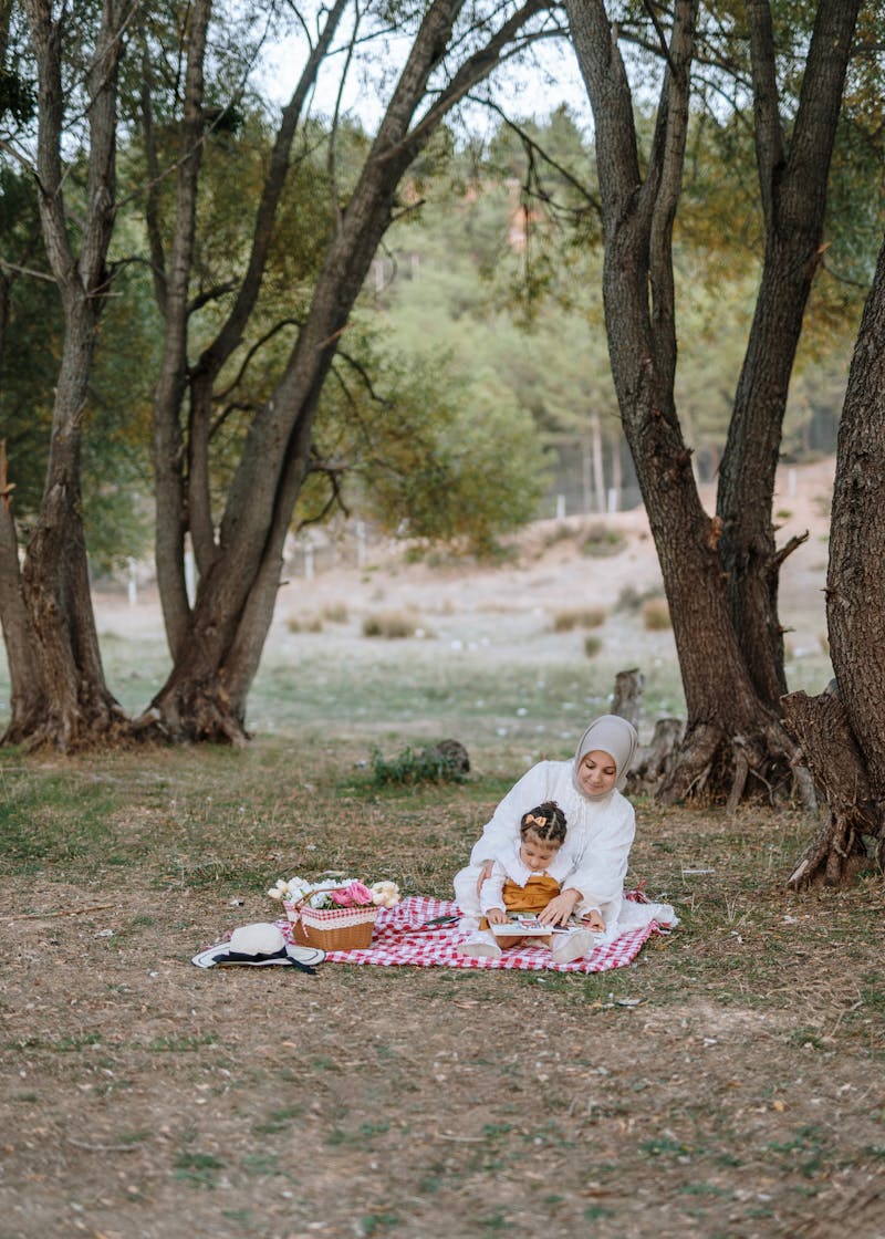 Moonlight Picnic Photos, Download The BEST Free Moonlight Picnic Stock ...