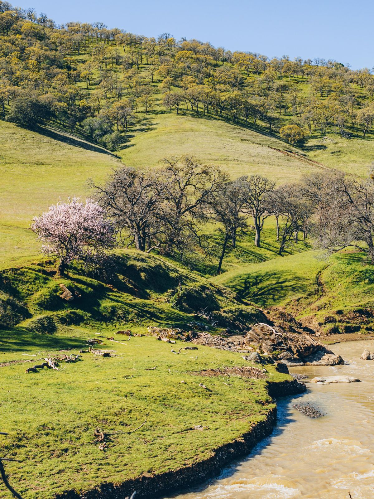 Green Hills Photos, Download The BEST Free Green Hills Stock Photos ...