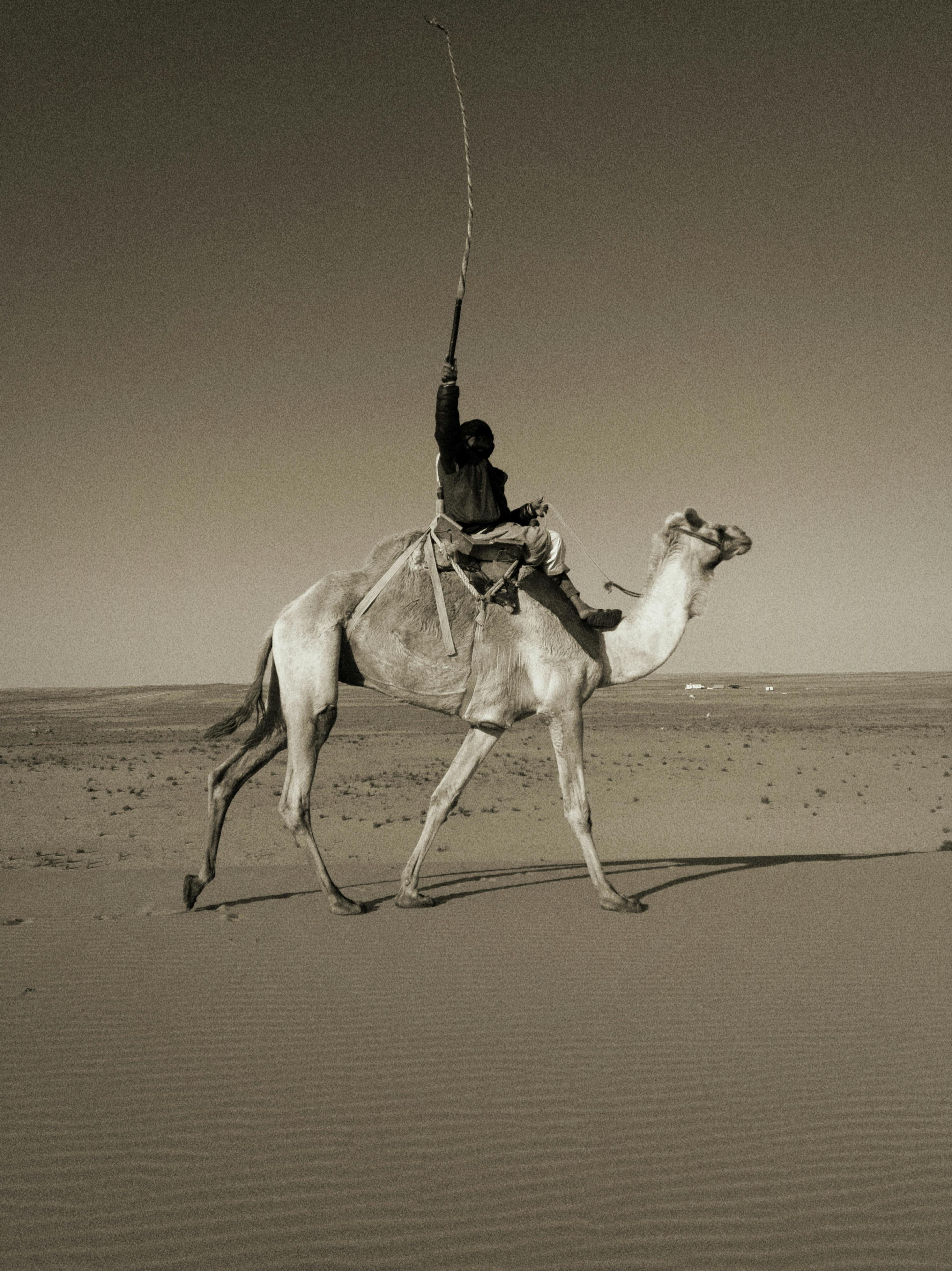 A Person Riding a Camel in a Desert · Free Stock Photo