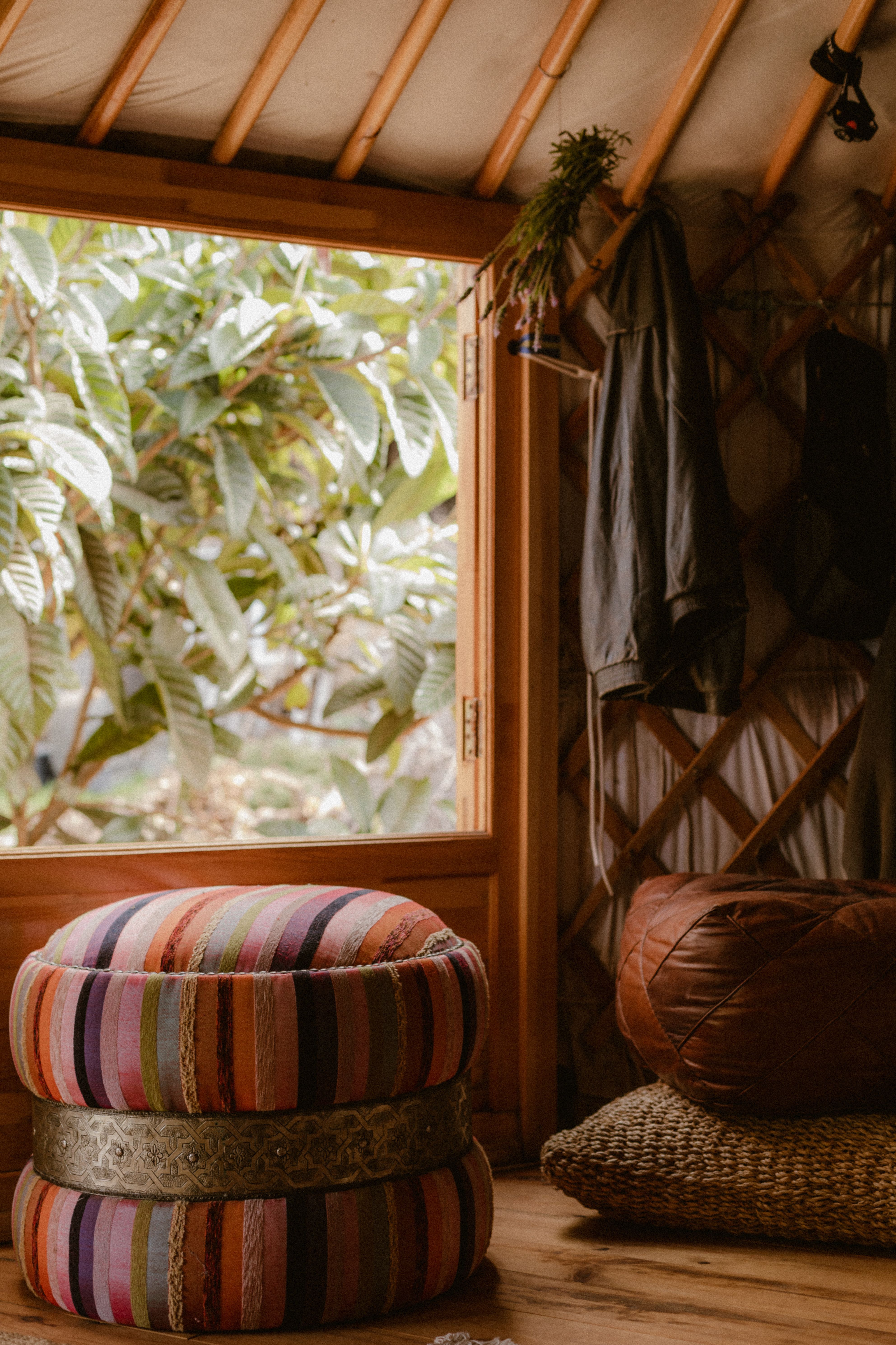 Outdore Window Photos, Download The BEST Free Outdore Window Stock ...