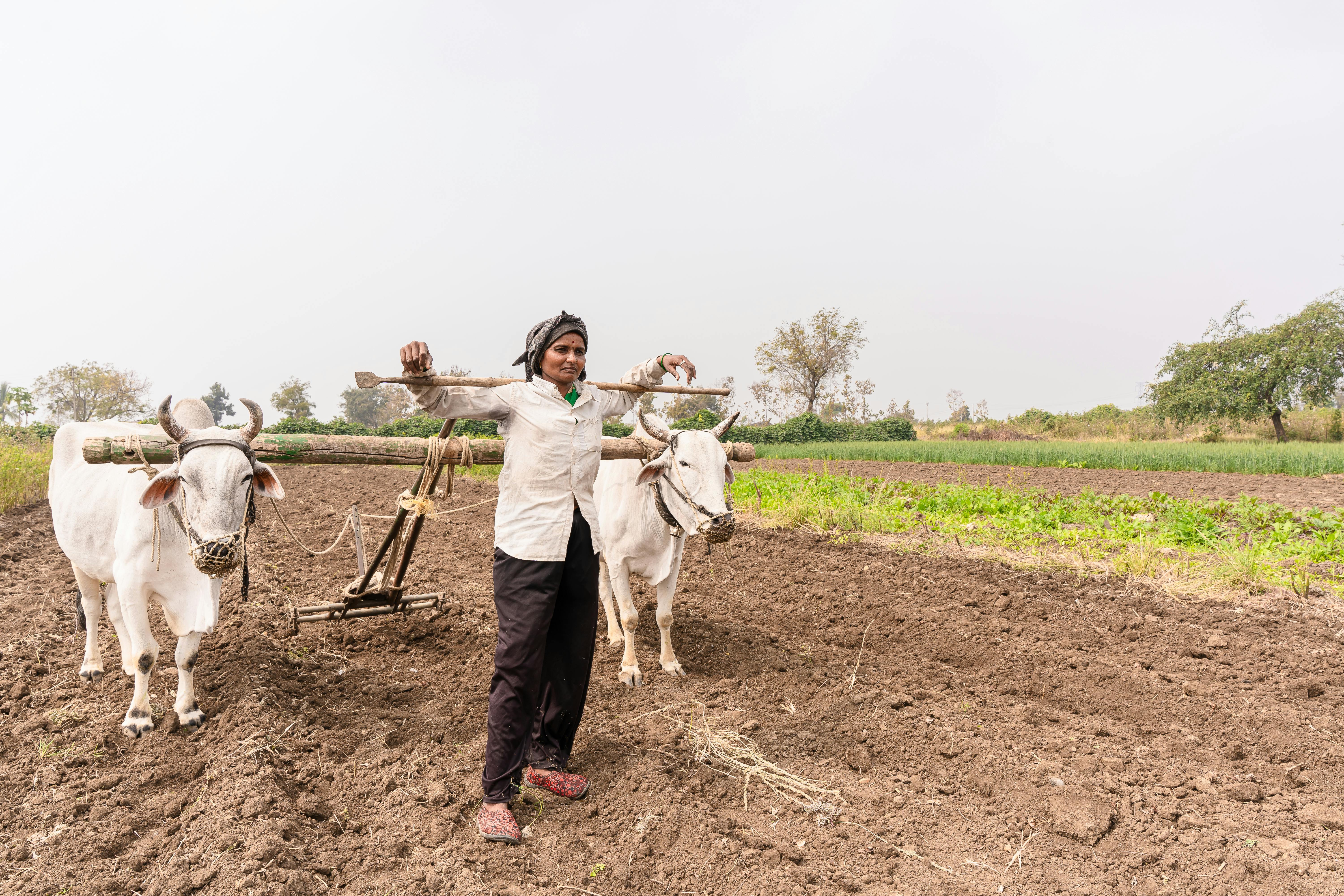 Farmers in India · Free Stock Photo