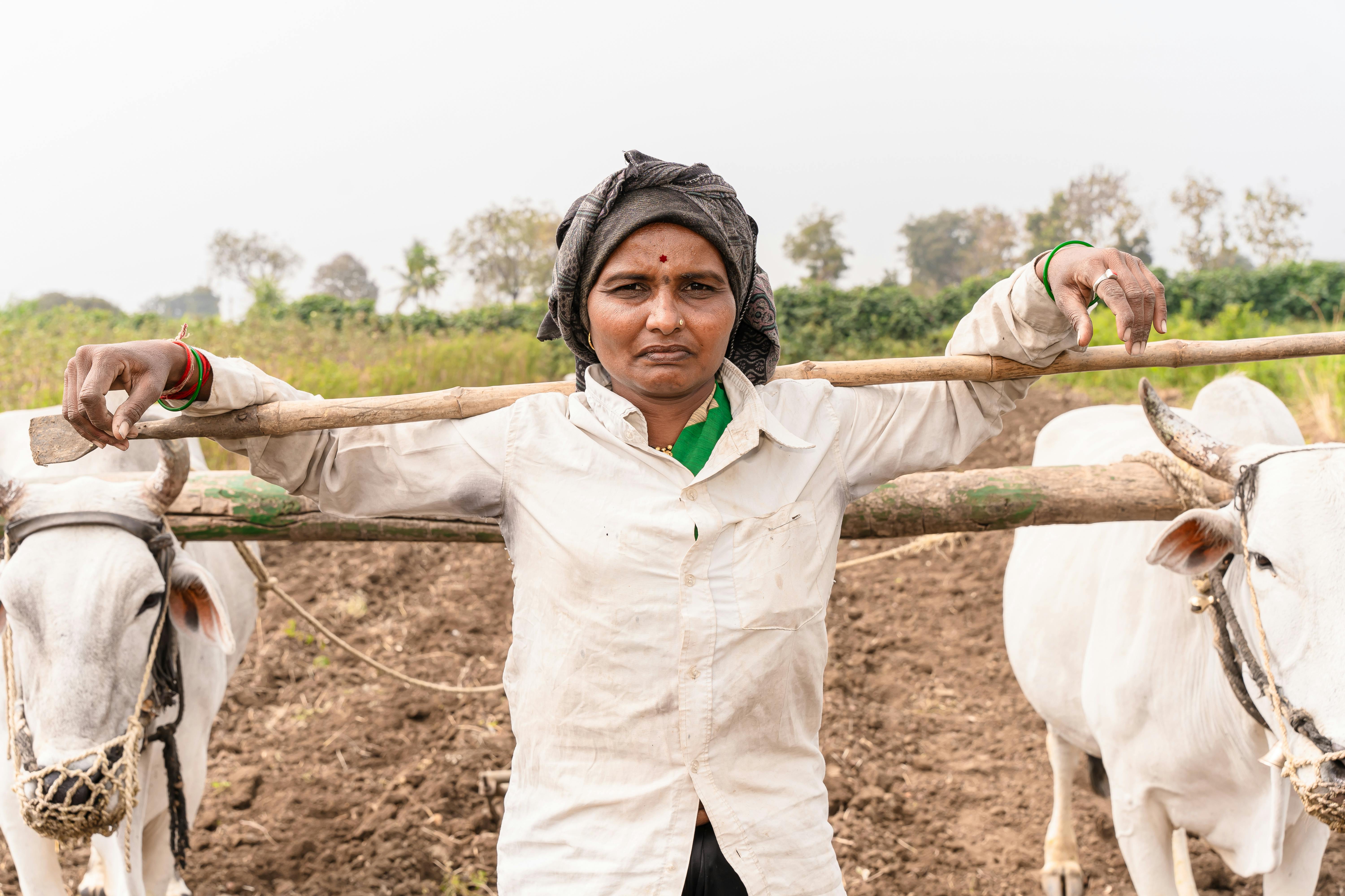 Farmers in India · Free Stock Photo