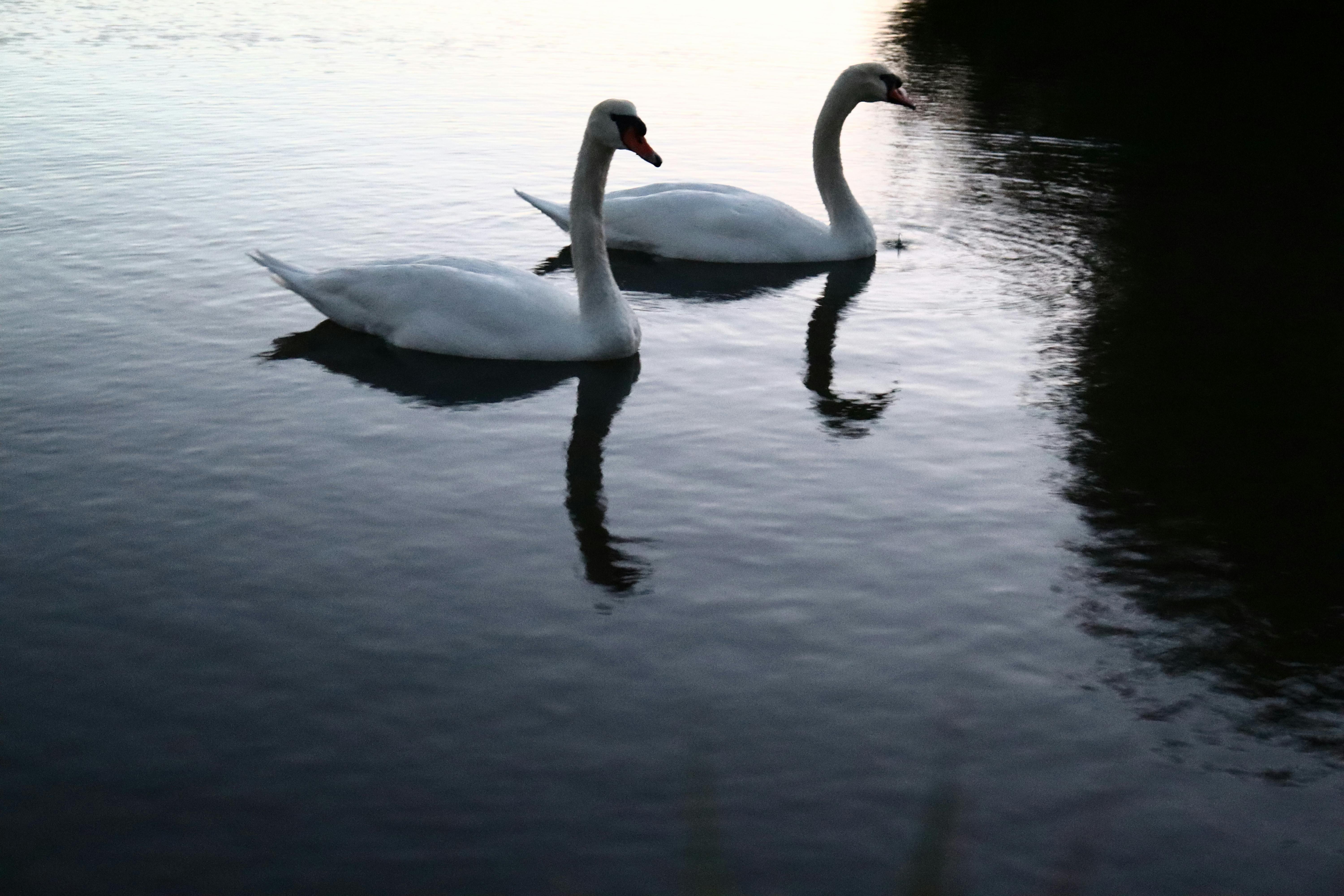 Aggeliki Siomou - Photography