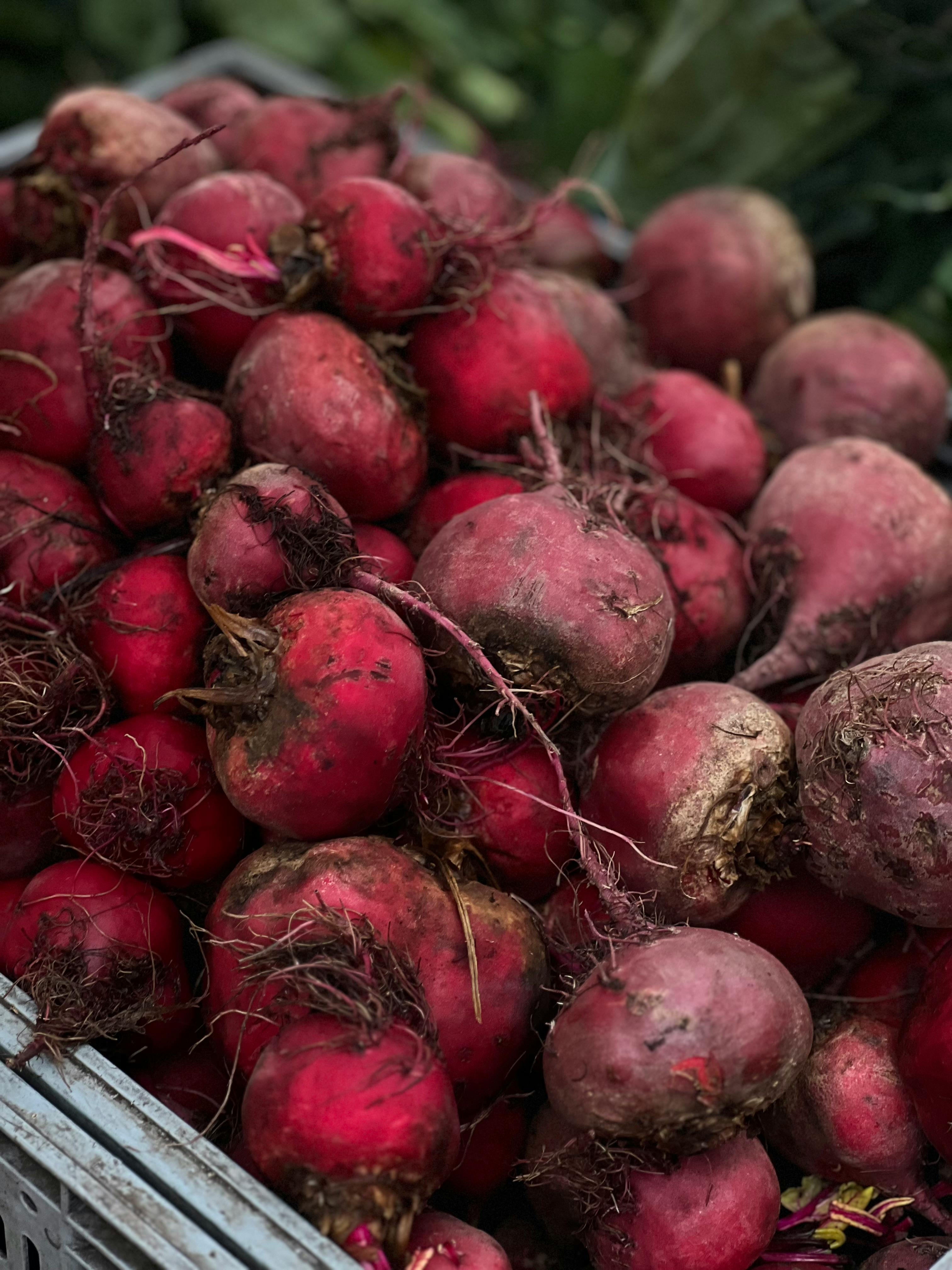 Close-up of a Pile of Beets on a Crop · Free Stock Photo