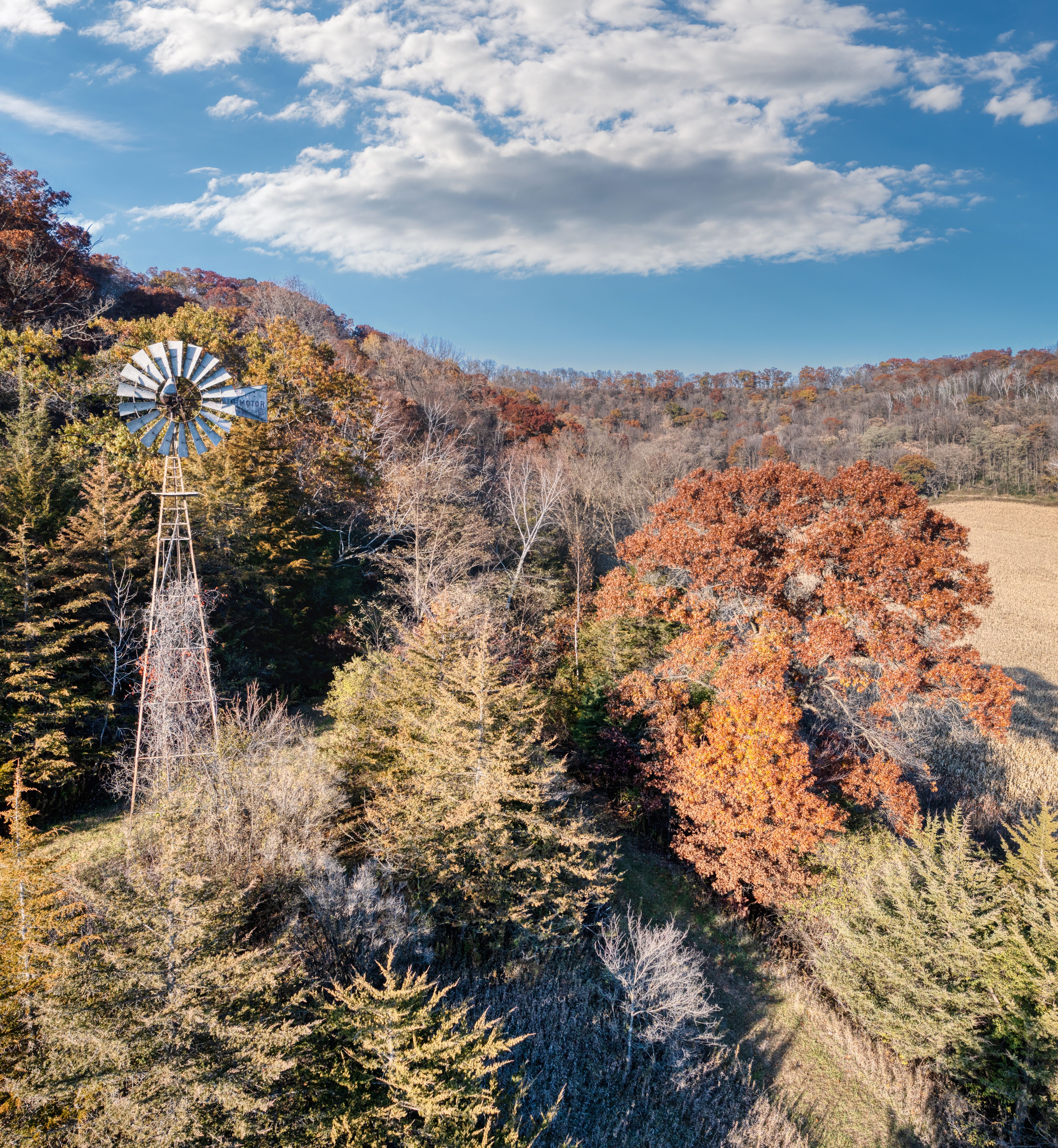 A Windmill Towering Over the Forest · Free Stock Photo