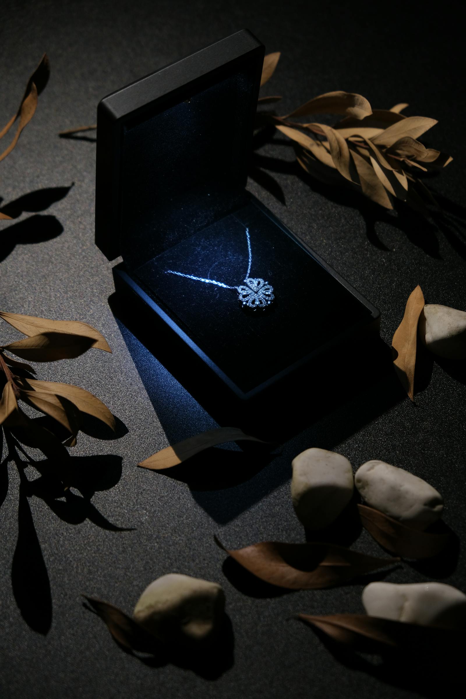 Jewelry Box Photos, Download The BEST Free Jewelry Box Stock Photos ...