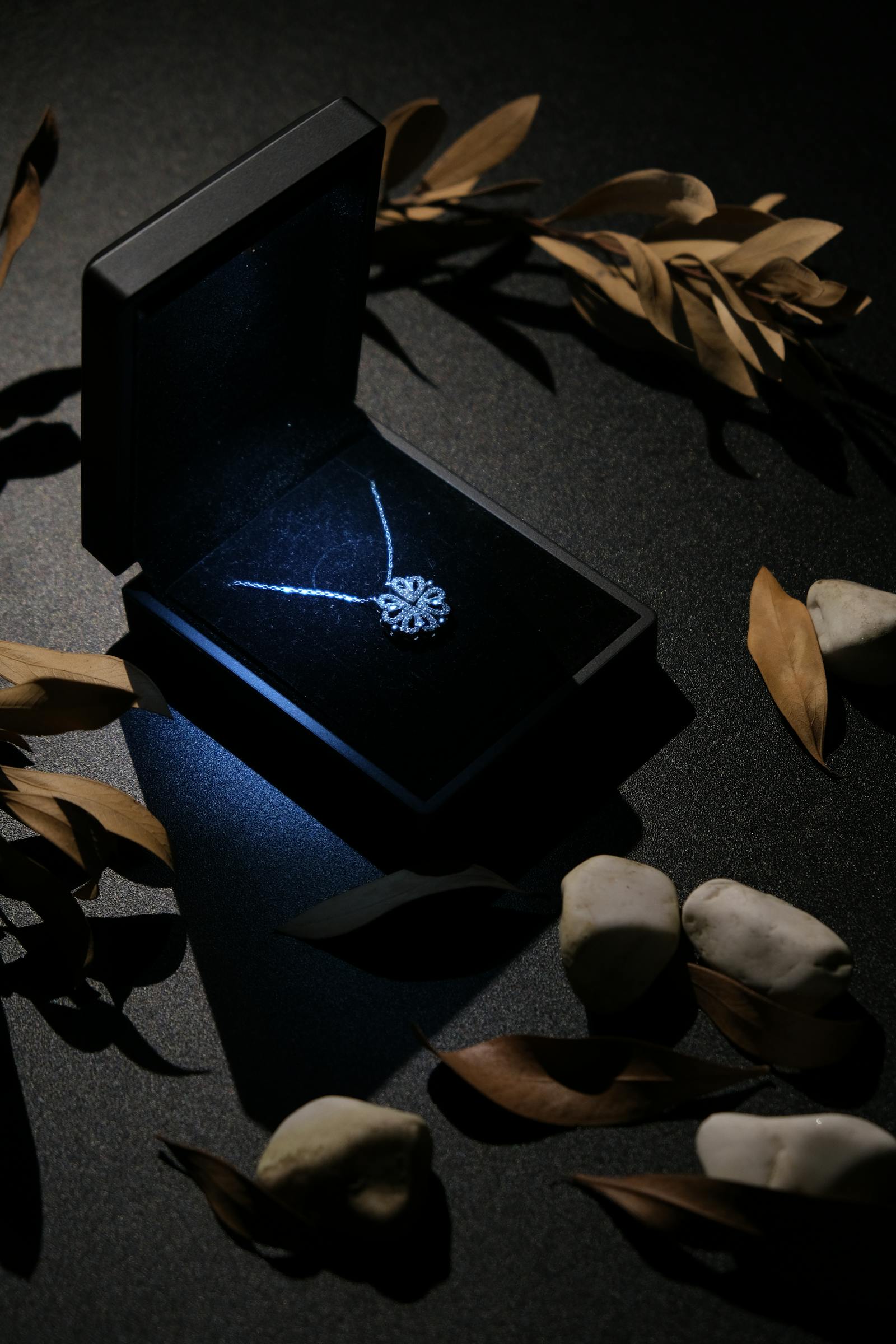 Mystery Box Photos, Download The BEST Free Mystery Box Stock Photos ...