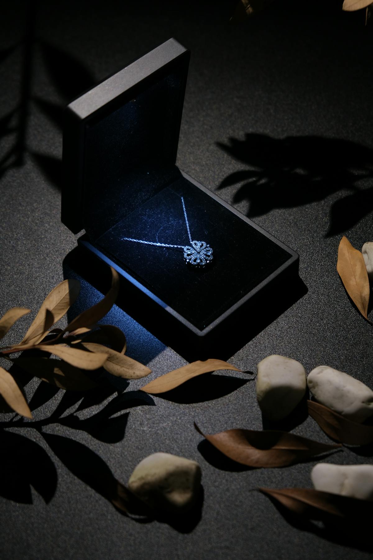 Silver Starlets Jess Photos, Download The BEST Free Silver Starlets ...