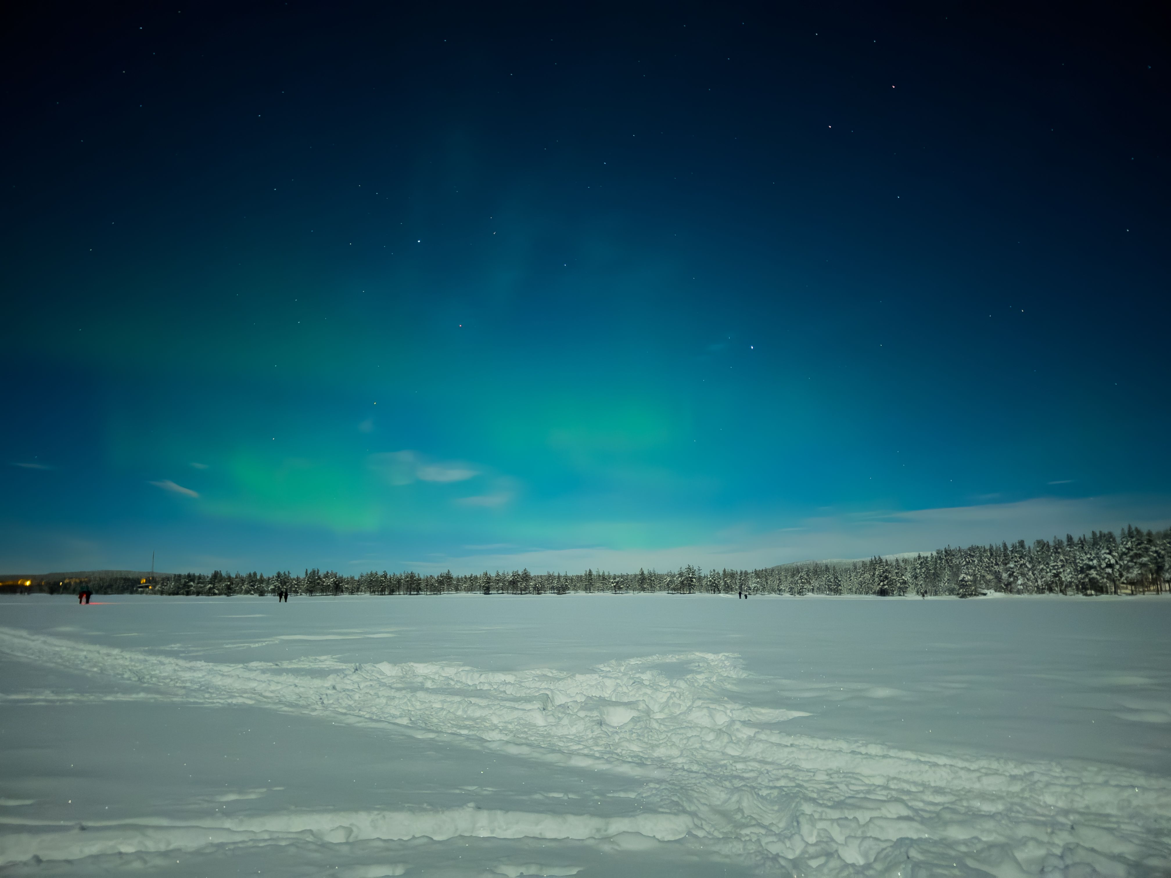 Aurora Borealis over Plains in Snow at Night · Free Stock Photo
