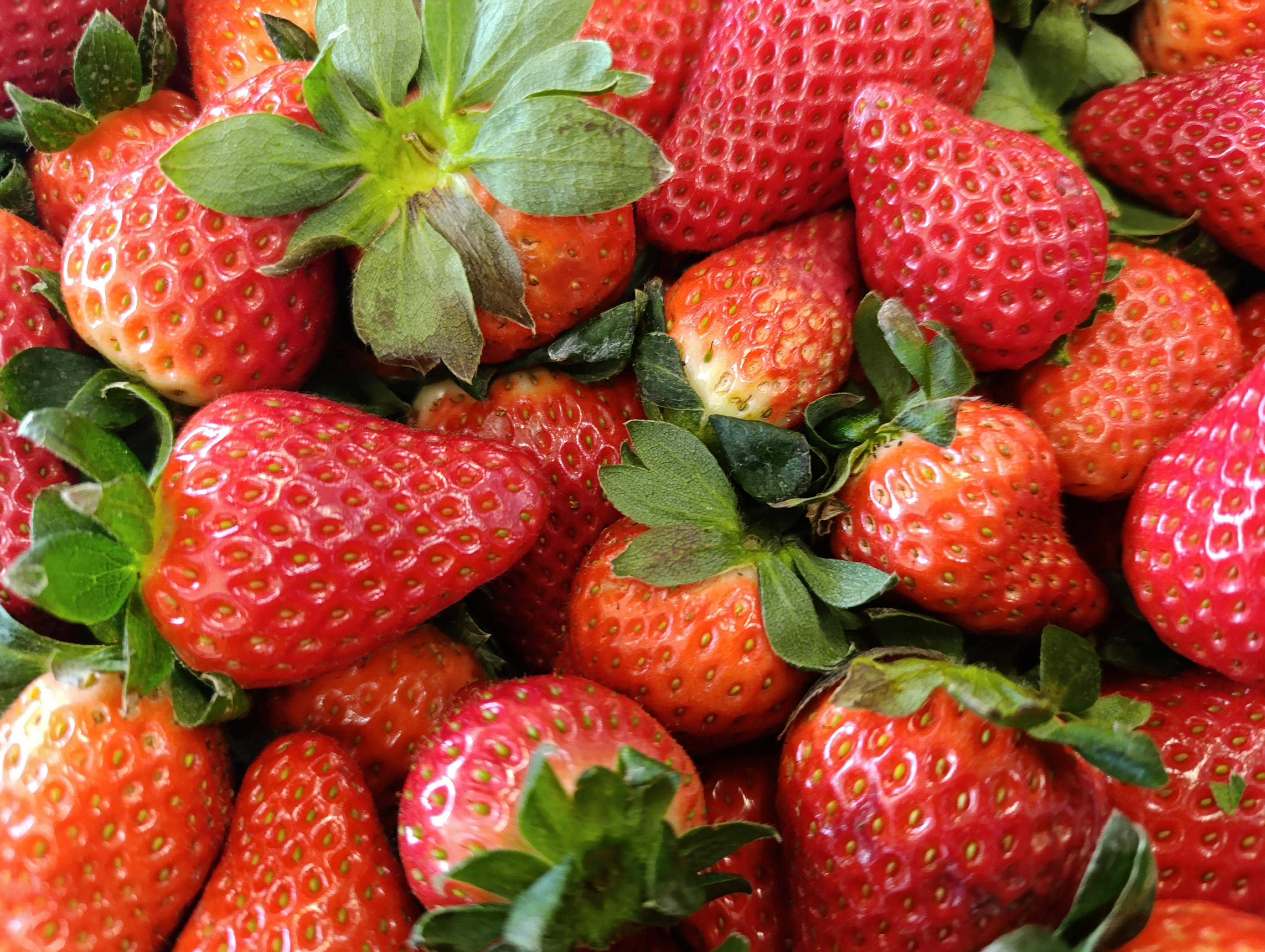 Frutas Photos, Download The BEST Free Frutas Stock Photos & HD Images