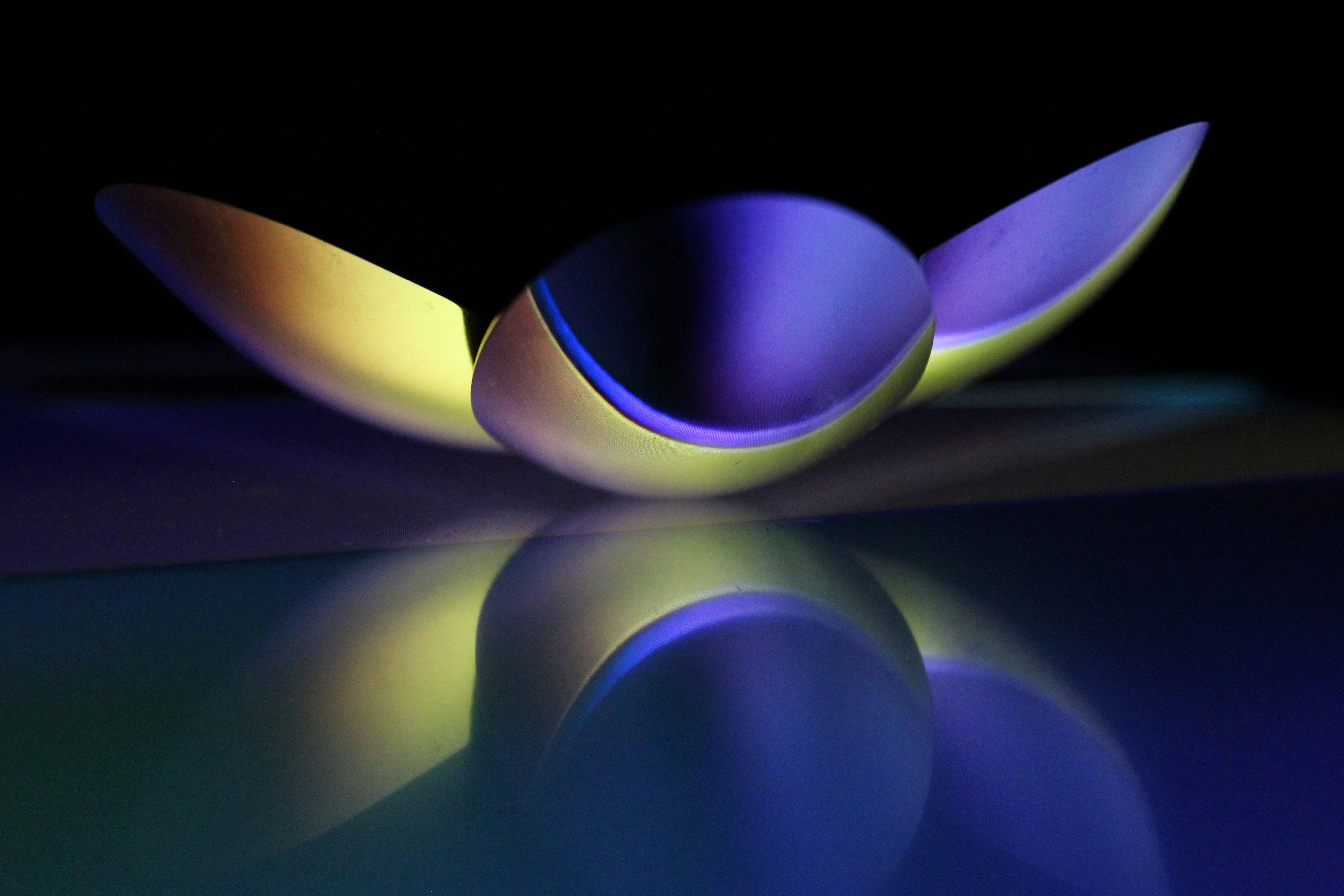 Abstract Shape of Lotus Flower · Free Stock Photo