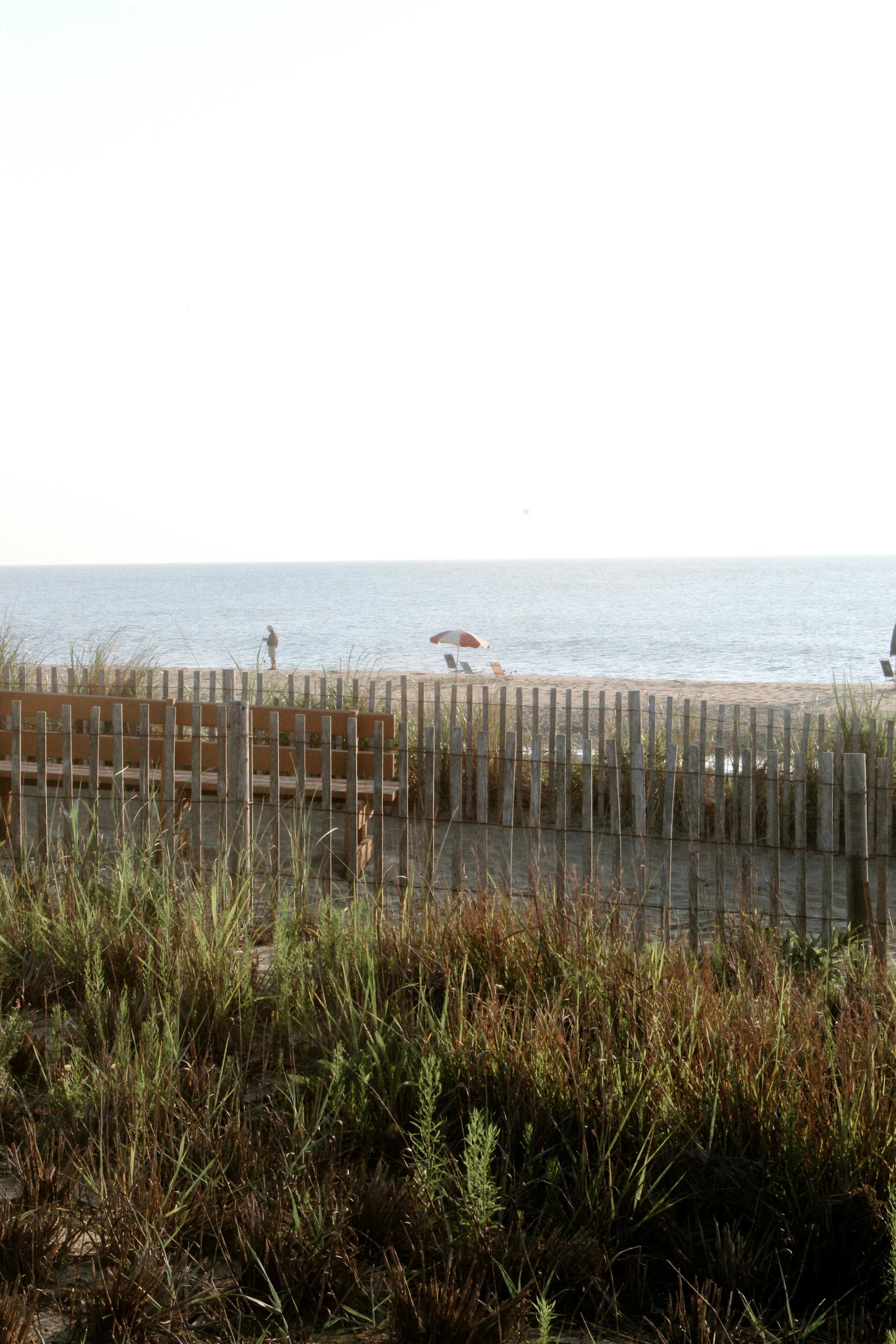 Waves on Sea Shore · Free Stock Photo