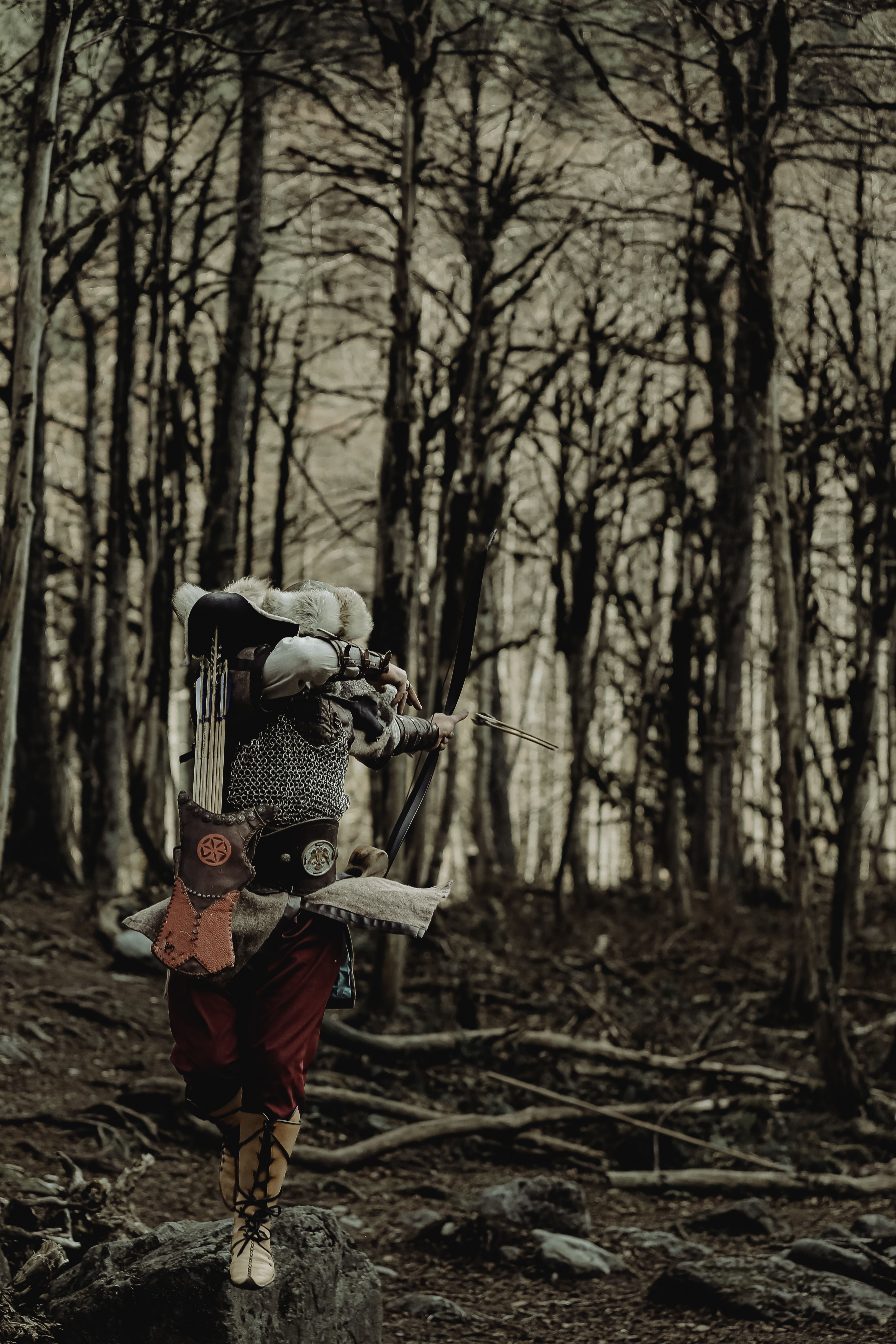 Archer Shooting in Forest · Free Stock Photo
