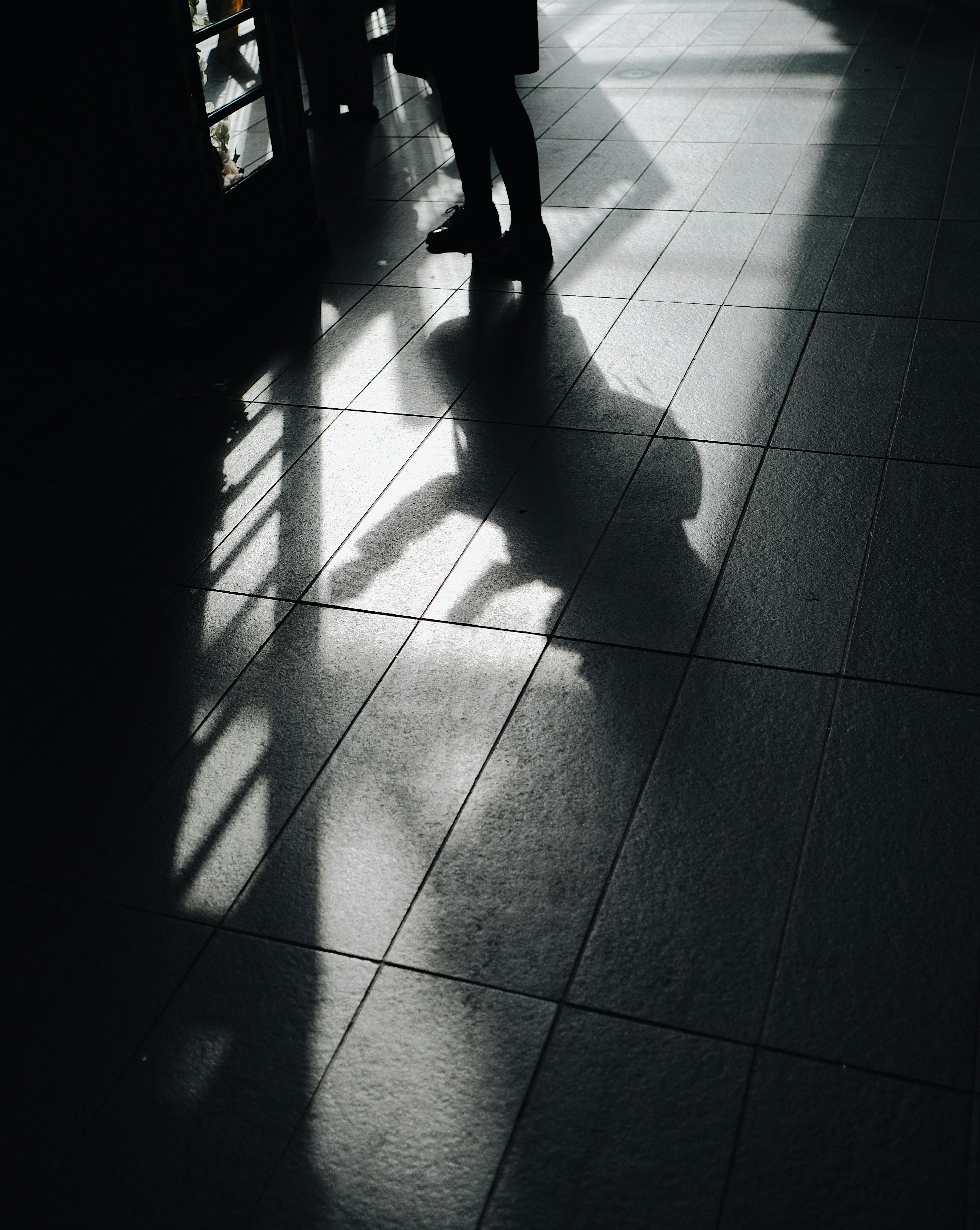 Shadows on Pavement · Free Stock Photo