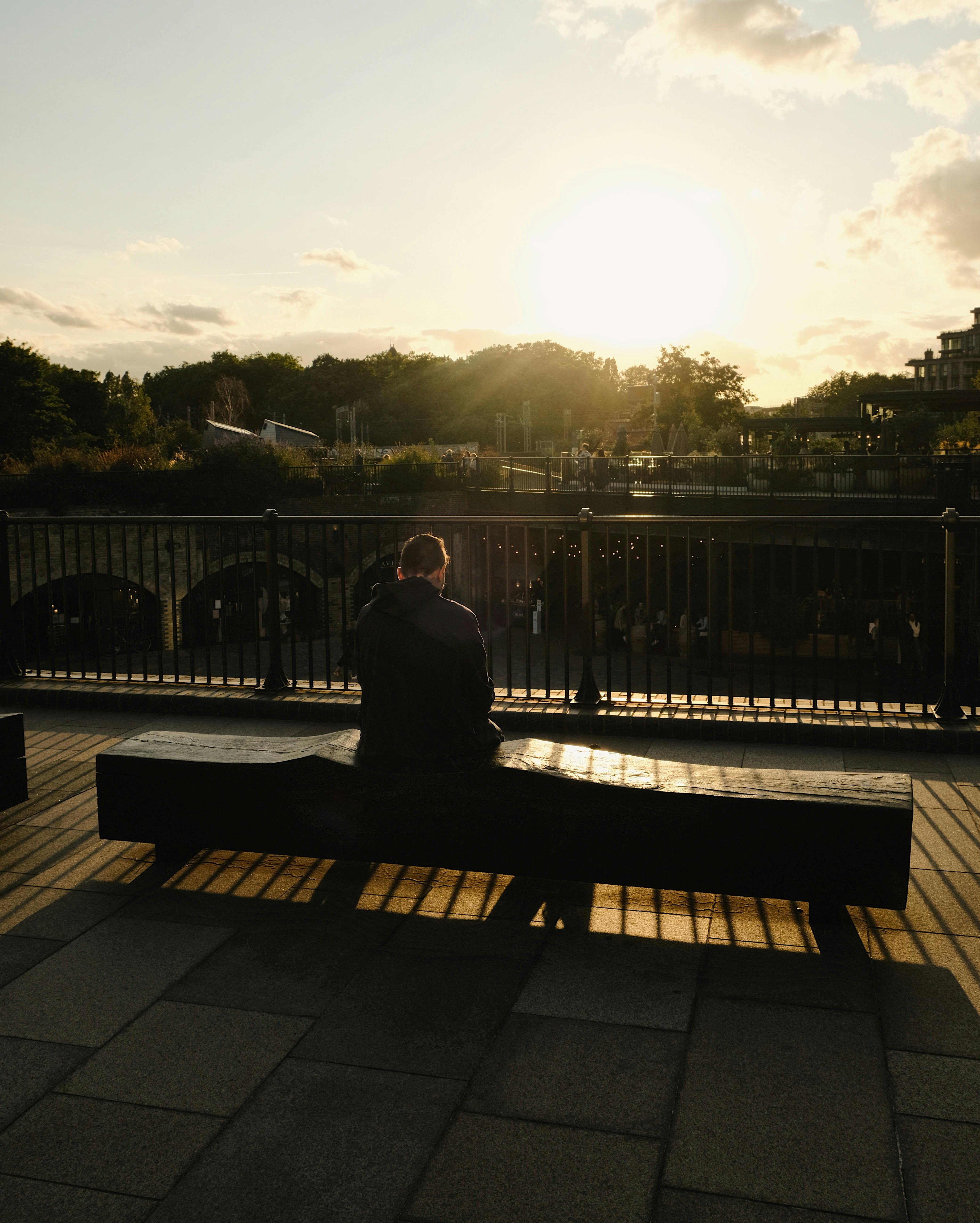 Back View of a Man Sitting in a Bench in City · Free Stock Photo