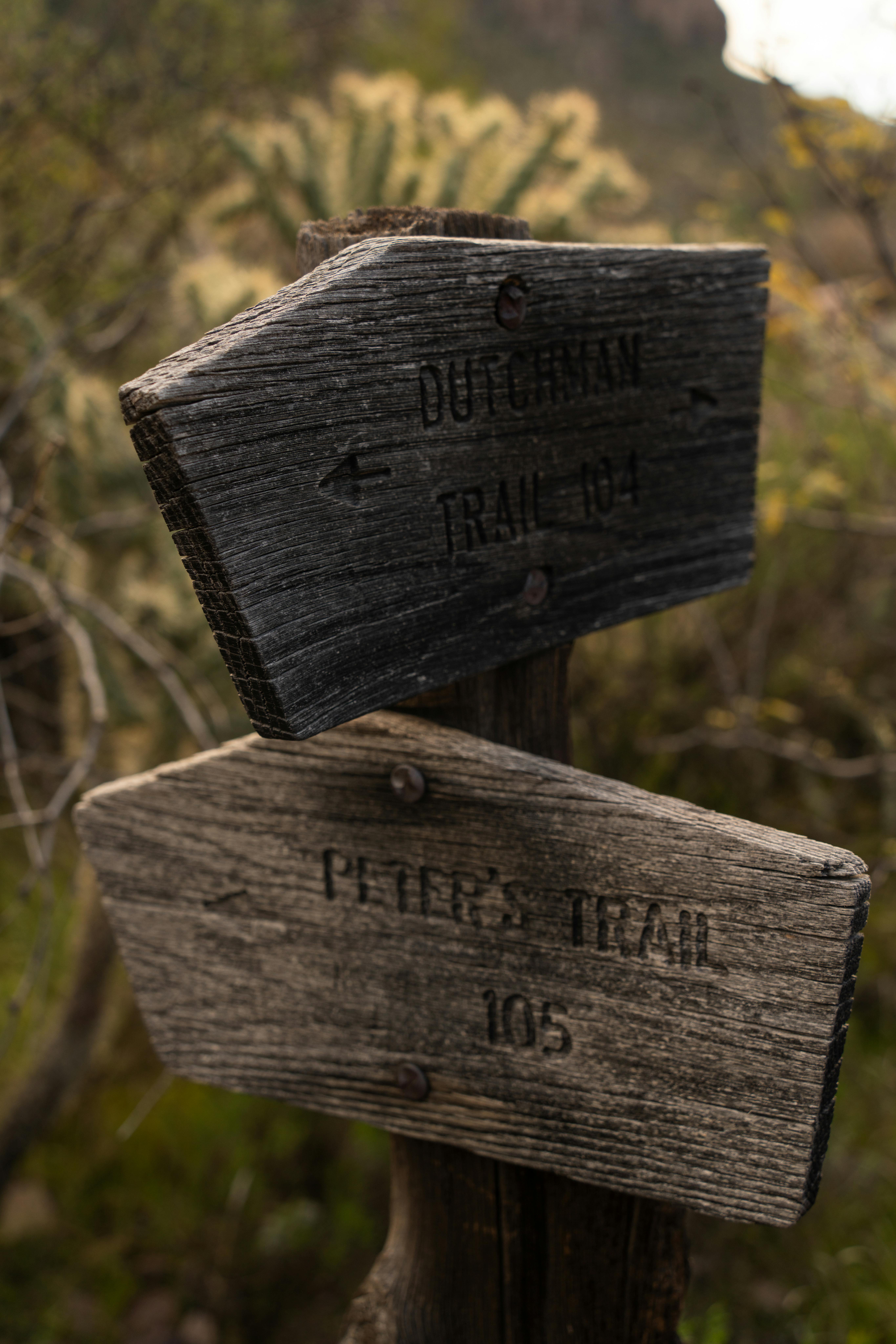 Close-up of Wooden Signs with Trail Names in Superstition Mountains in ...