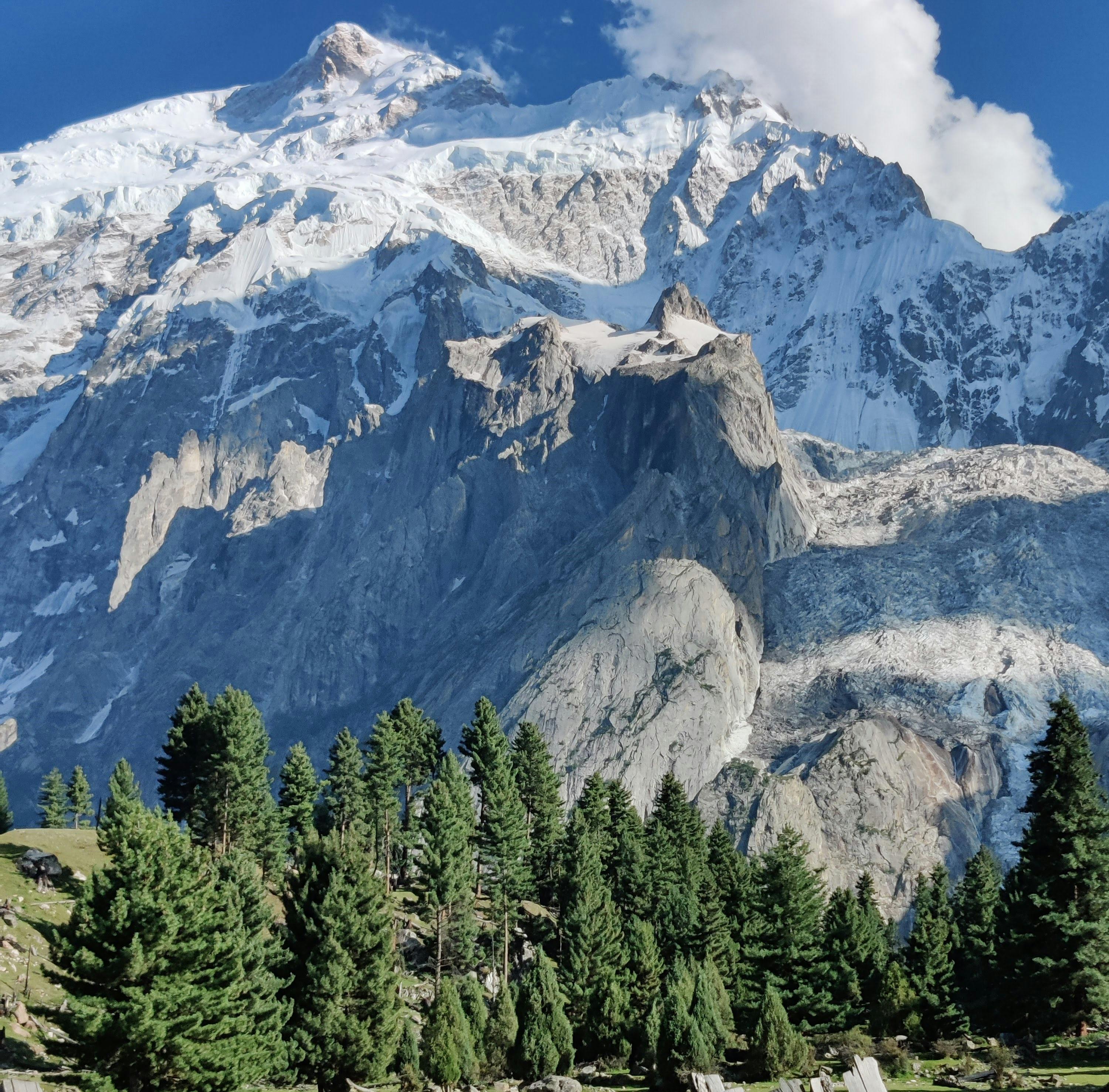 Forest under Mountains Peaks · Free Stock Photo