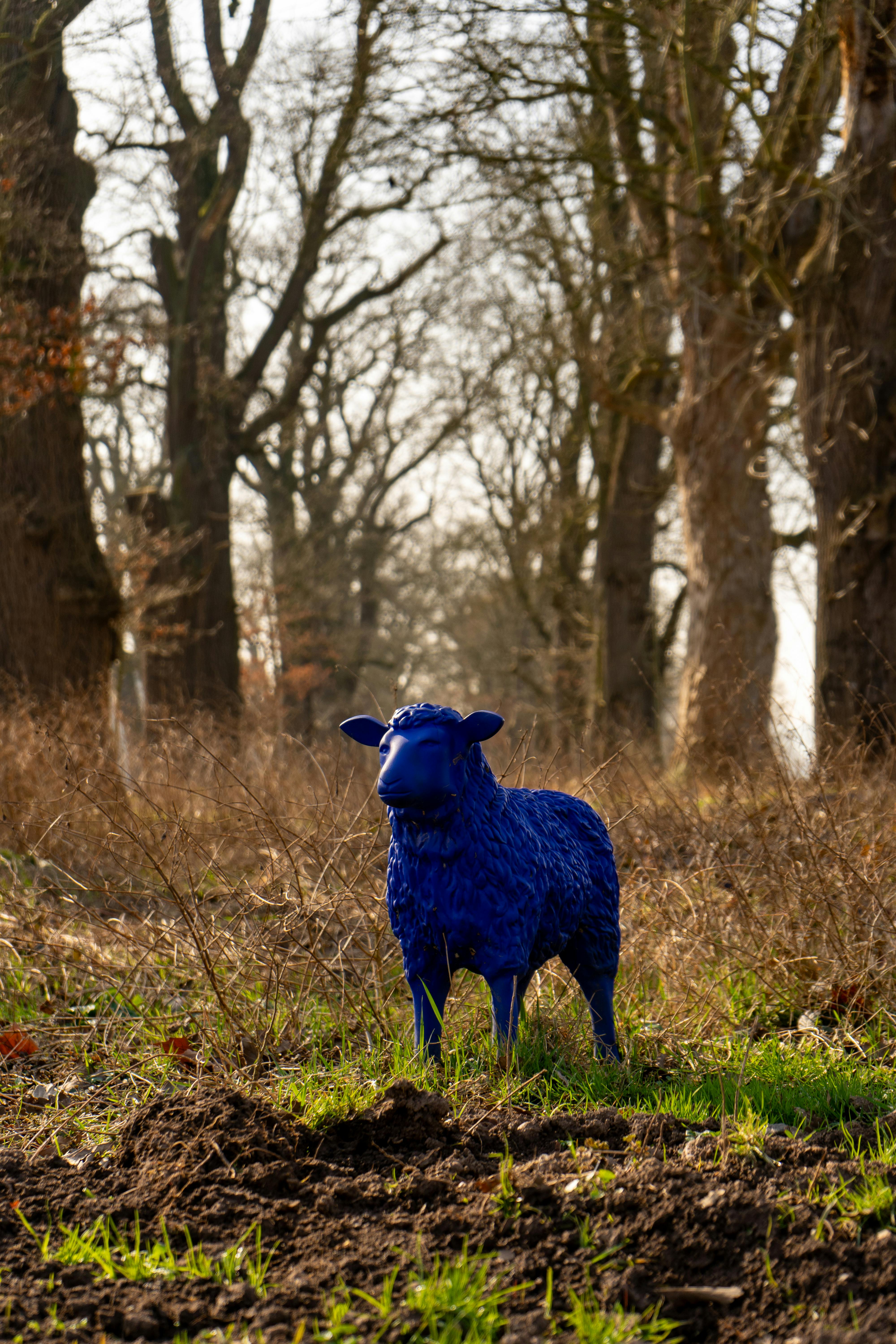 Bluer Photos, Download The BEST Free Bluer Stock Photos & HD Images