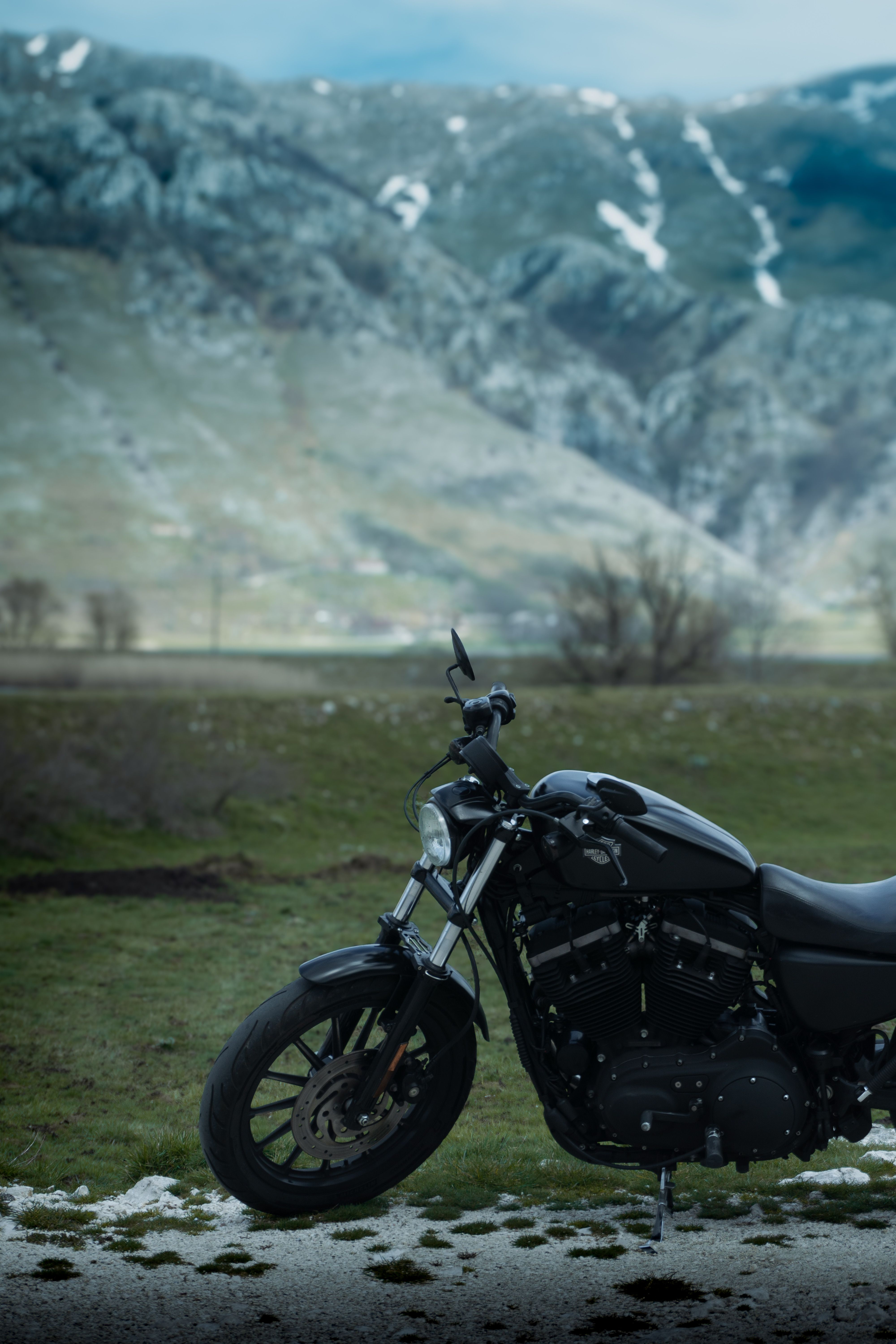 A Black Harley-Davidson Sportster Motorcycle Parked on the Background ...