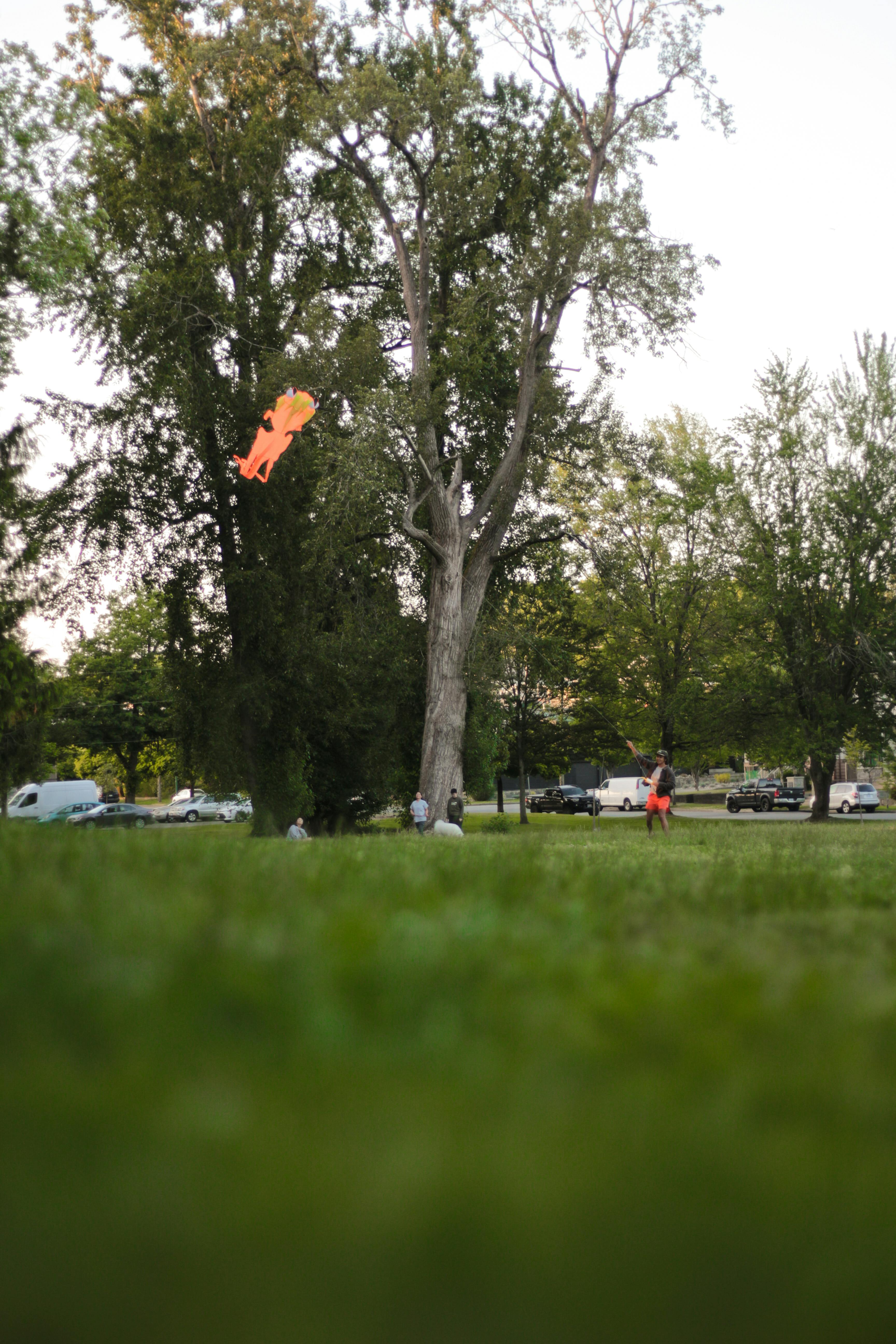 Oliver Boese - Photography