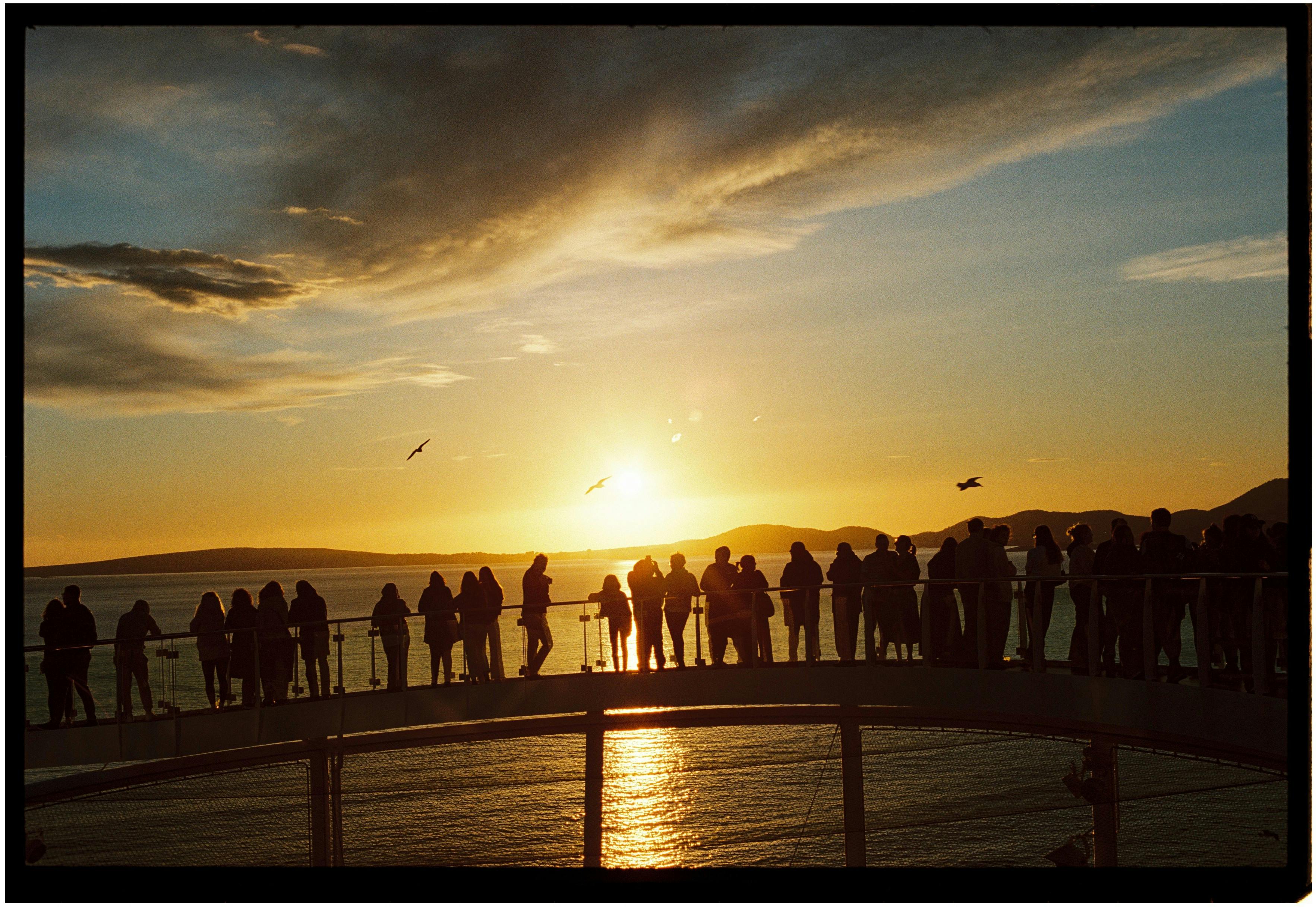 Cell Group Photos, Download The BEST Free Cell Group Stock Photos & HD ...