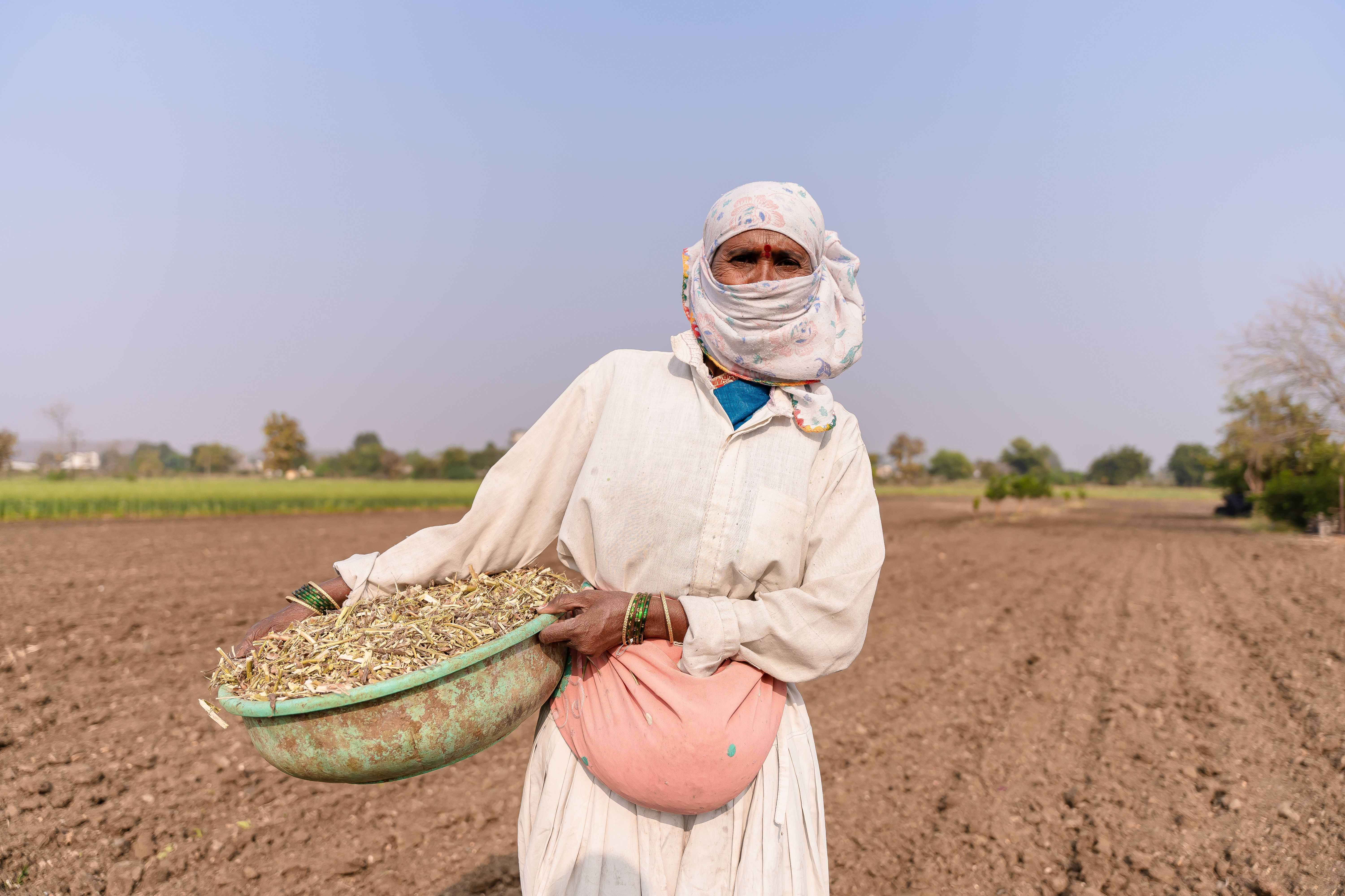 Indian Agriculture Photos, Download The BEST Free Indian Agriculture ...