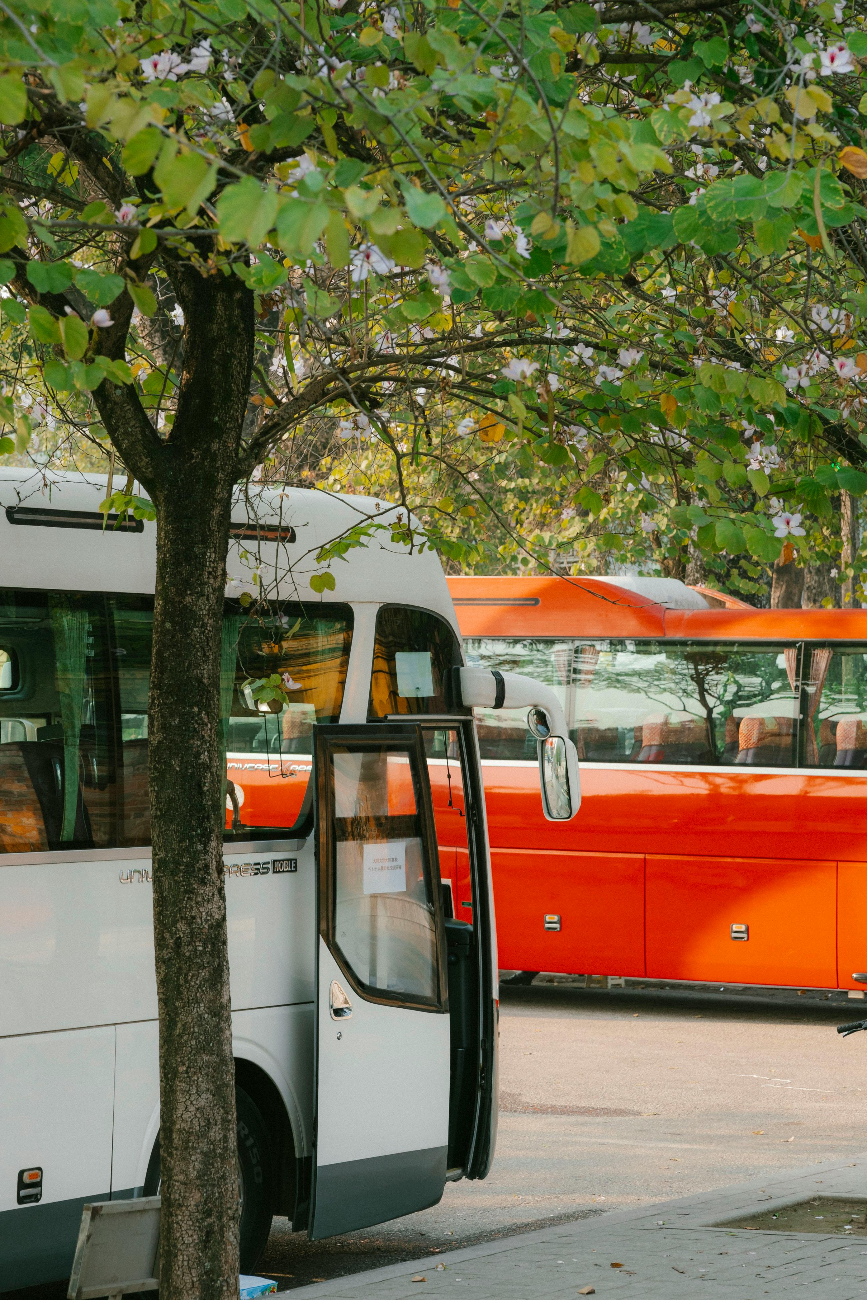 View of Buses on a Street in City · Free Stock Photo
