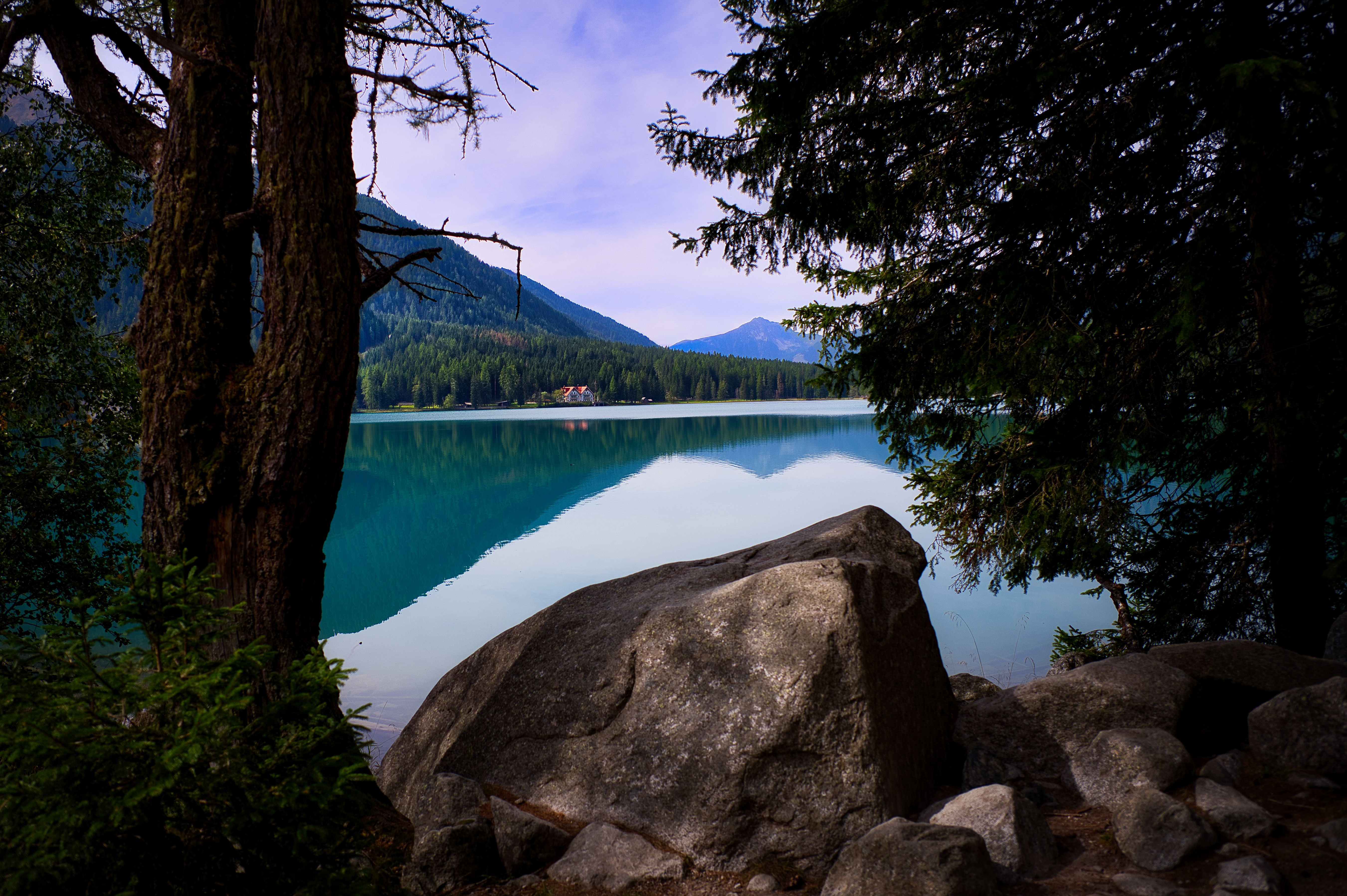 Boulder and Trees on Lakeshore · Free Stock Photo