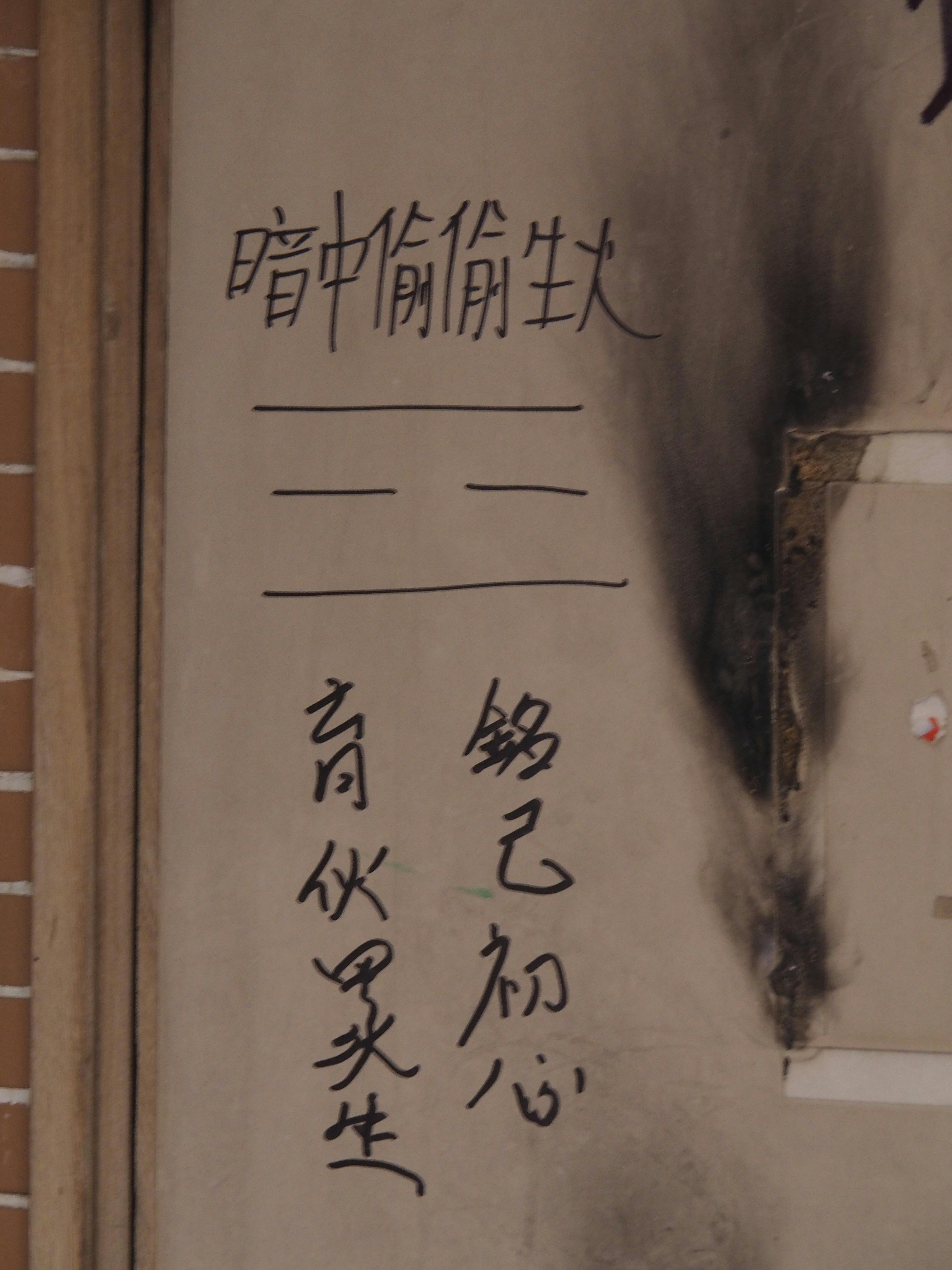 terry narcissan tsui - Photography