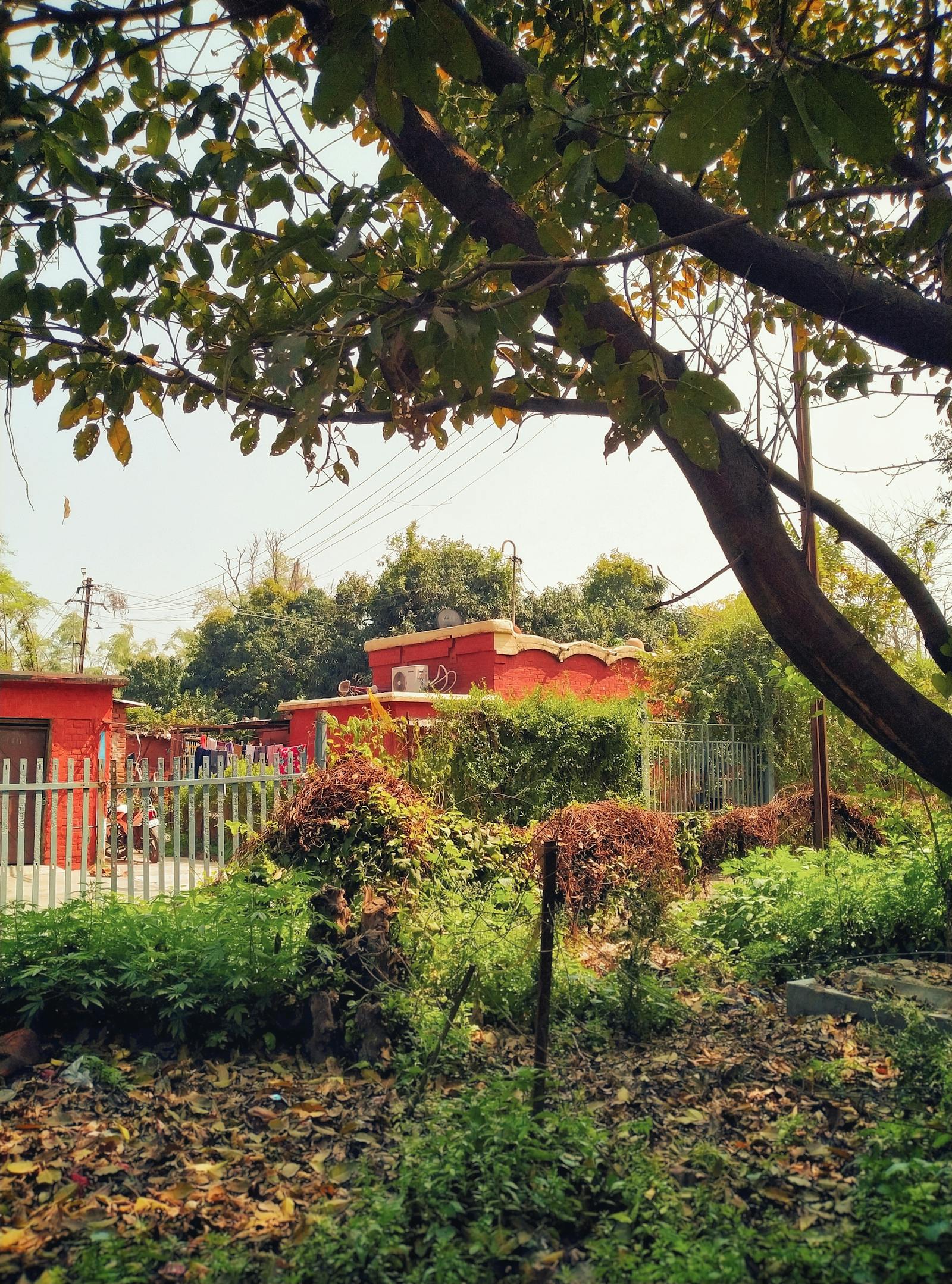 Tree Park Photos, Download The BEST Free Tree Park Stock Photos & HD Images