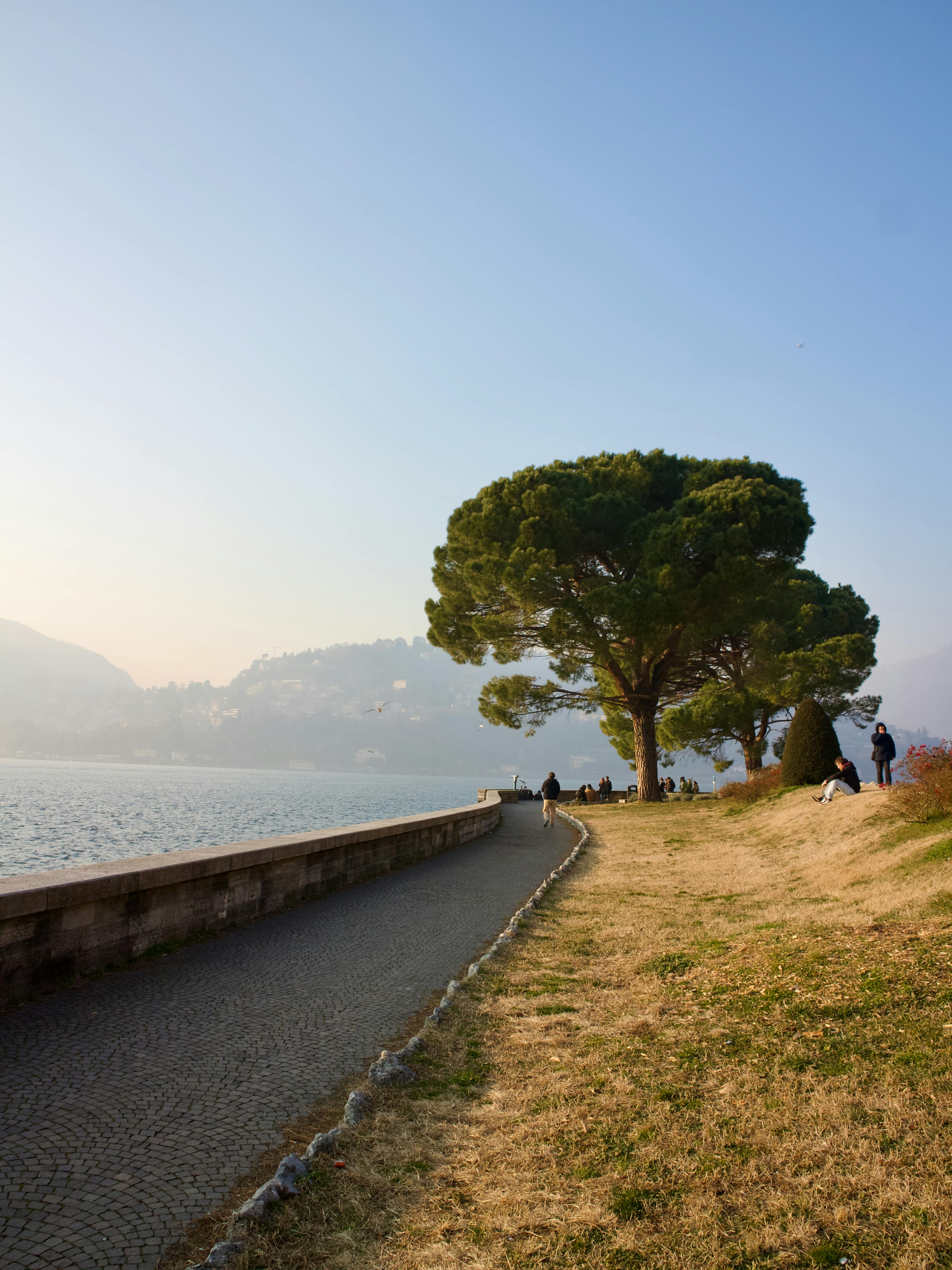 A person walking along a path near the water · Free Stock Photo