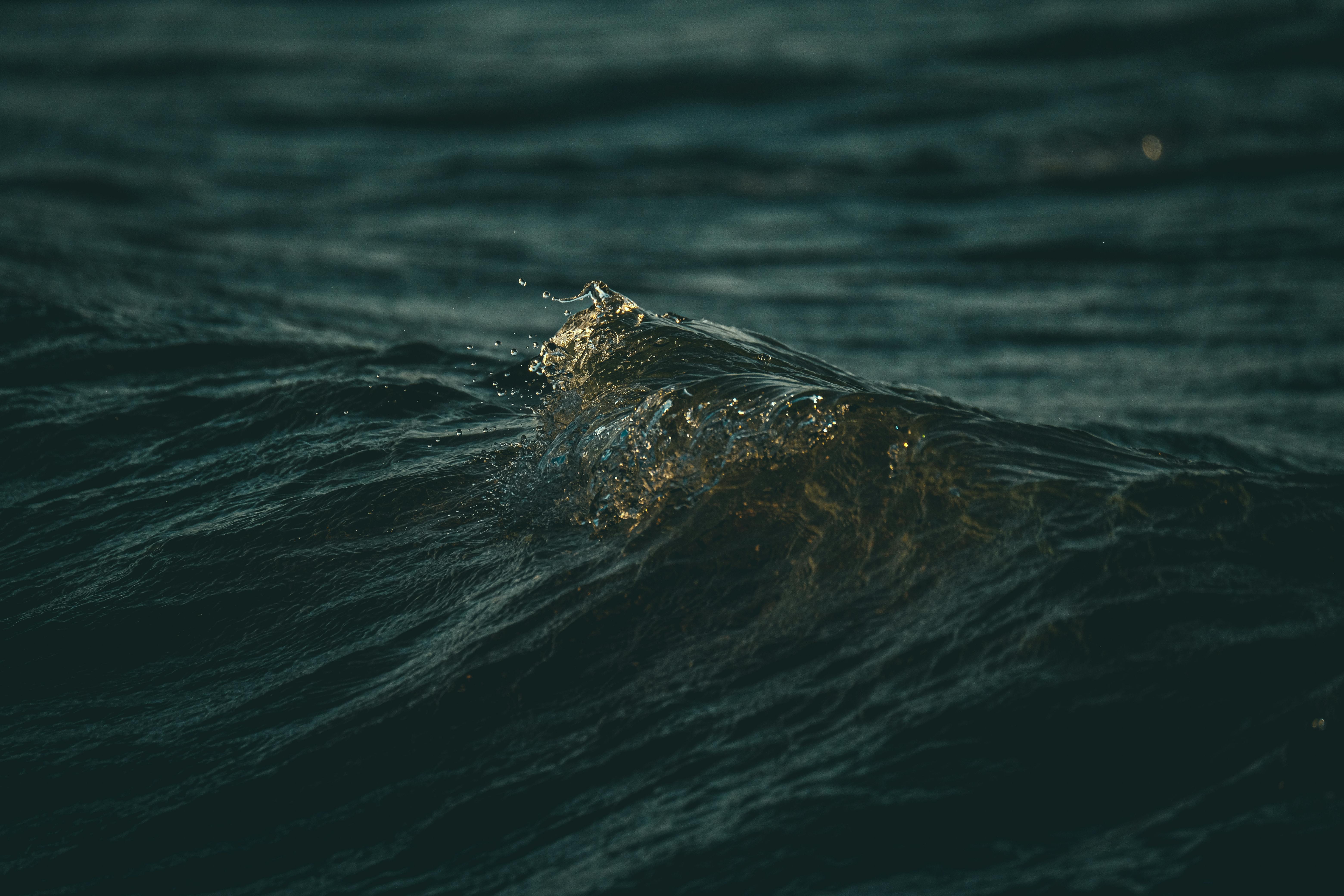 Dark Wave on Shore · Free Stock Photo
