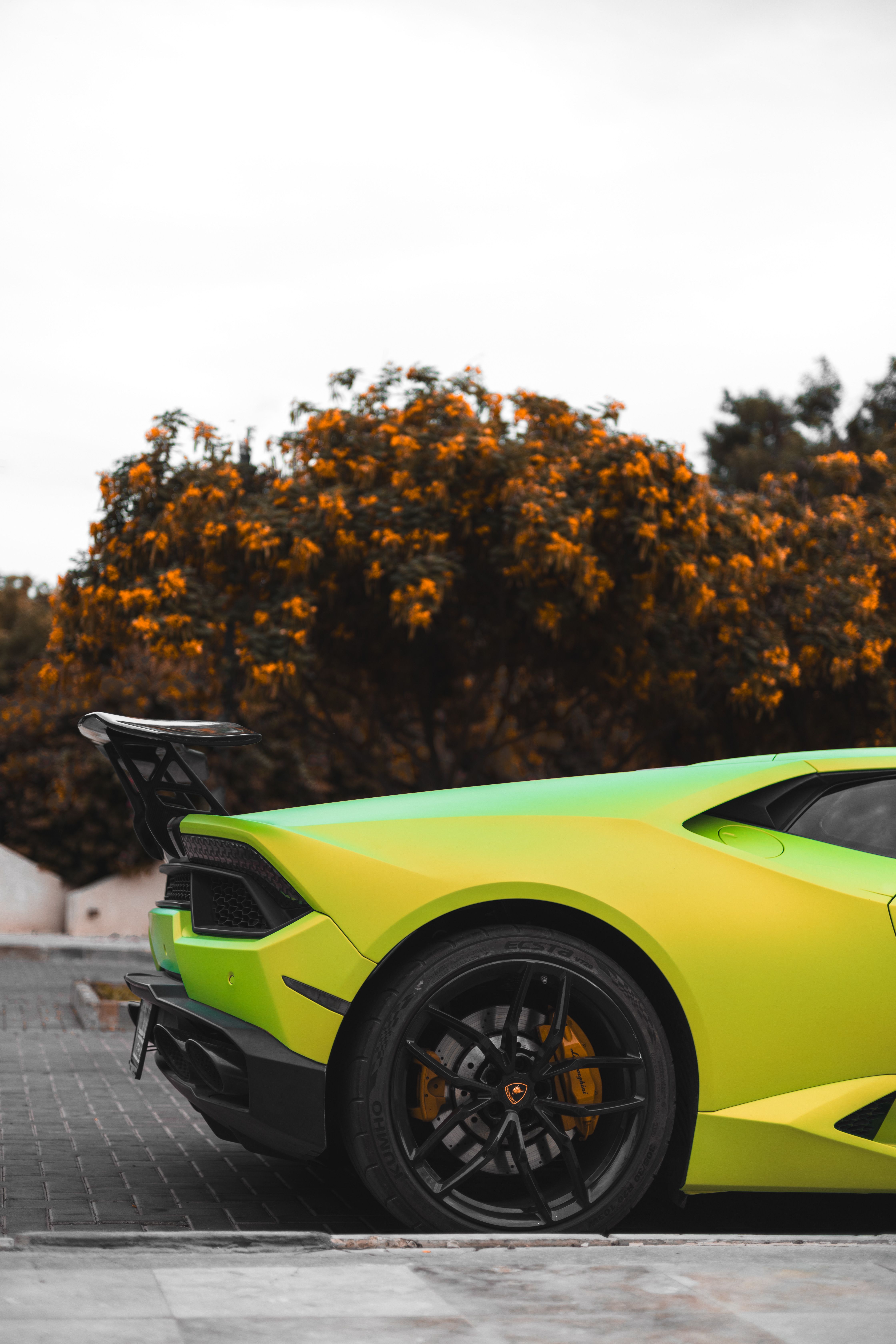 Rear Axis Photos, Download The BEST Free Rear Axis Stock Photos & HD Images