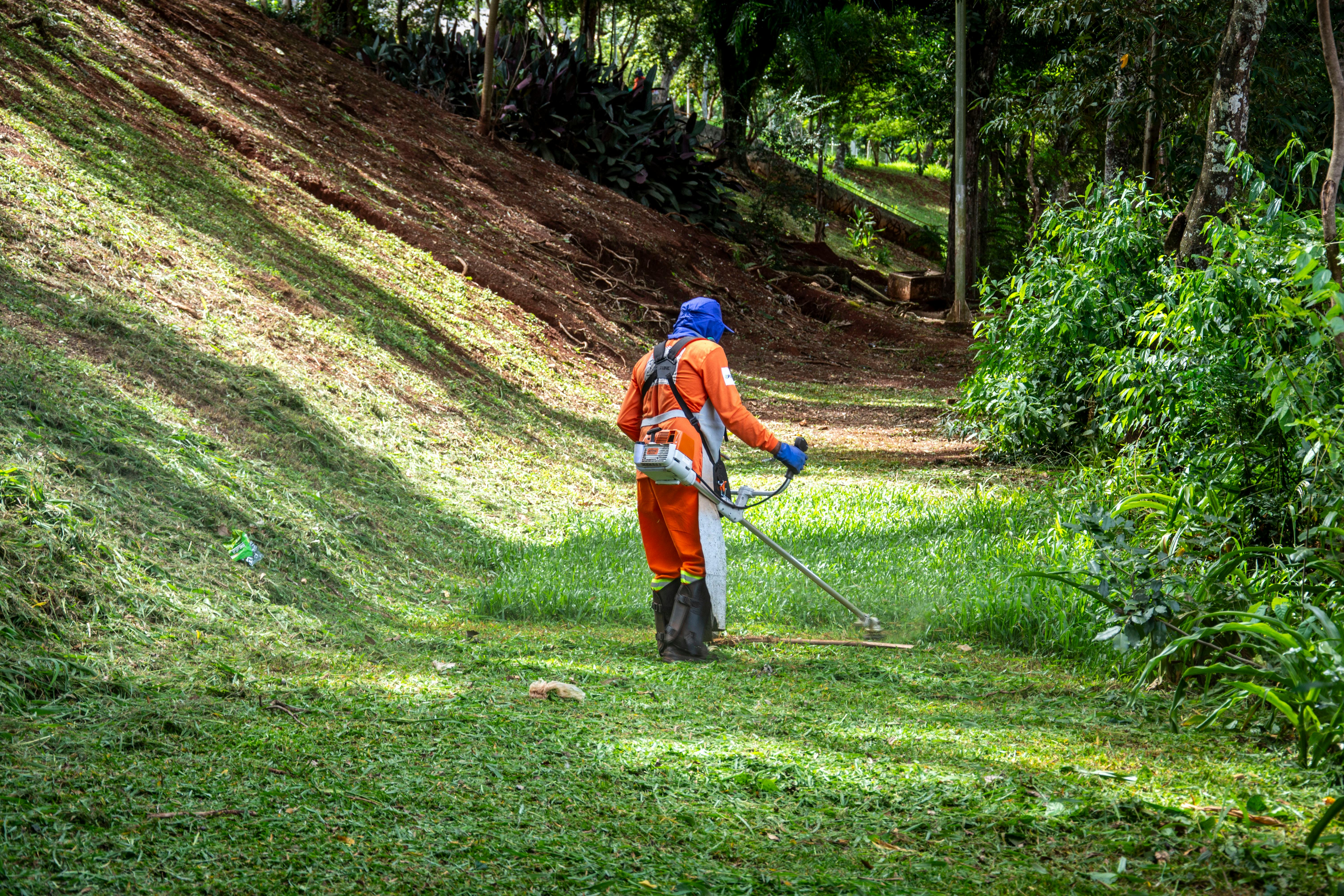 Foto de stock gratuita sobre agricultura, al aire libre, arboles, área ...