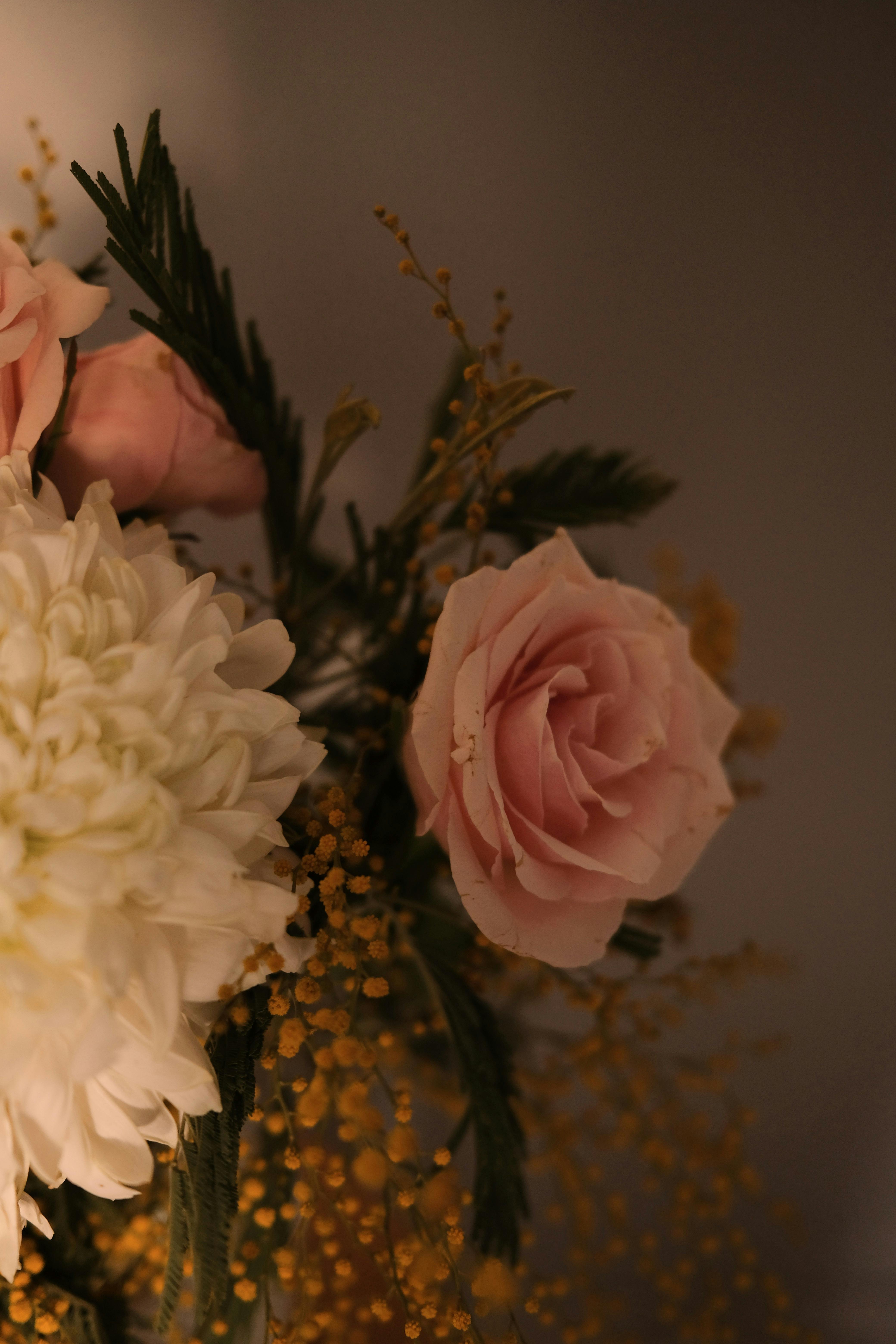 Nida Kurt - Photography