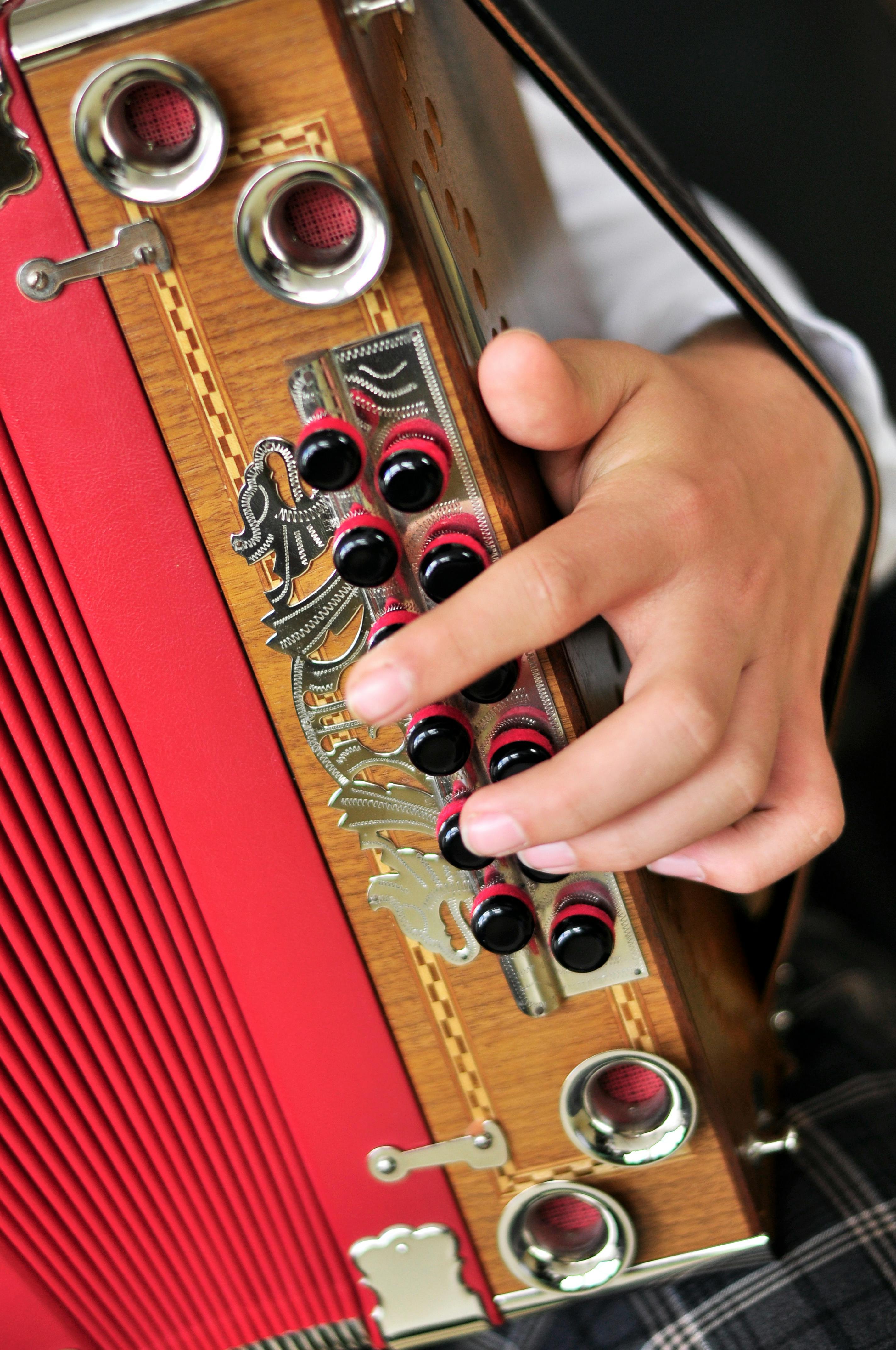 Hand of a Person Playing Accordion · Free Stock Photo